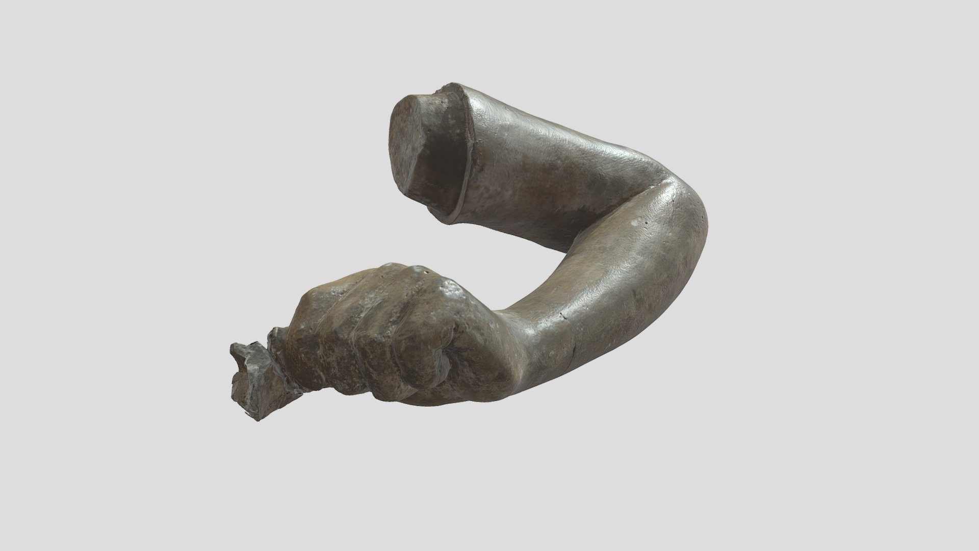 Arm Gipsmodell - Download Free 3D model by gussbronze [68b19ea] - Sketchfab