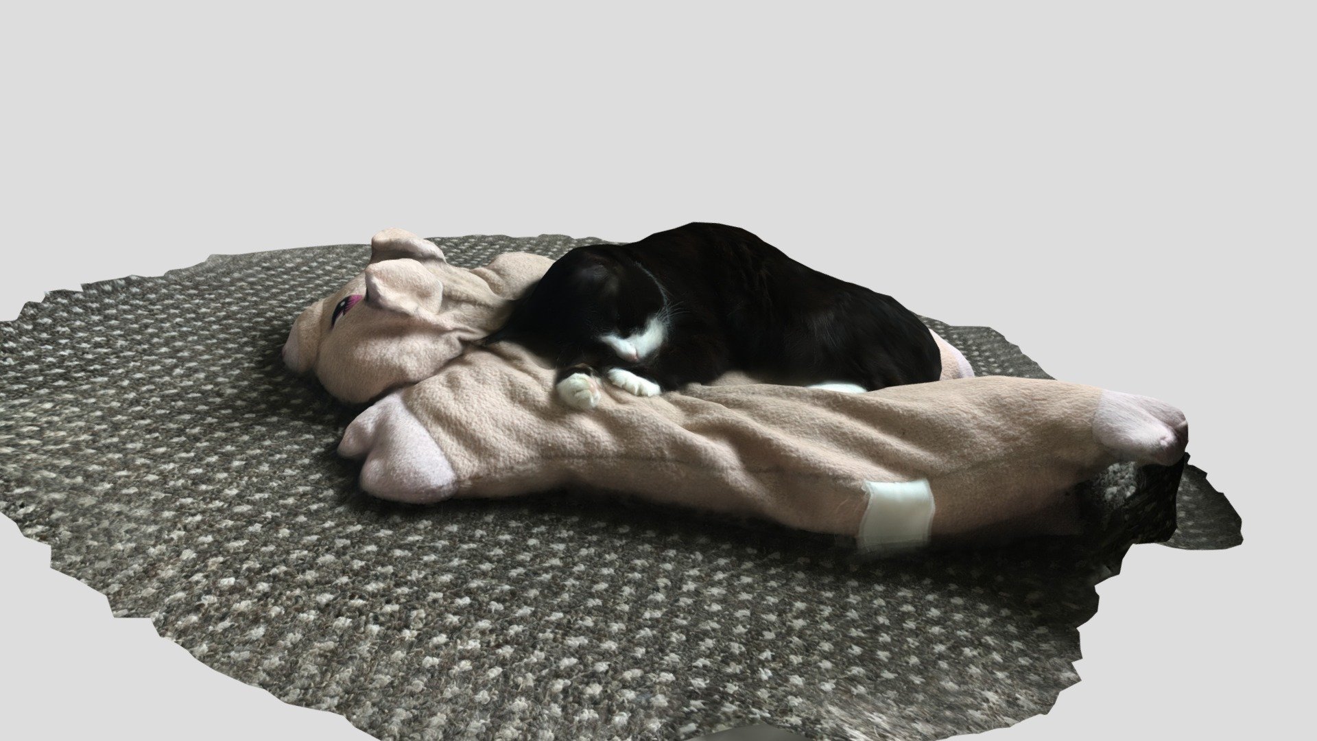 Comfy kitty - Download Free 3D model by scubadiverchick [68ba20a ...