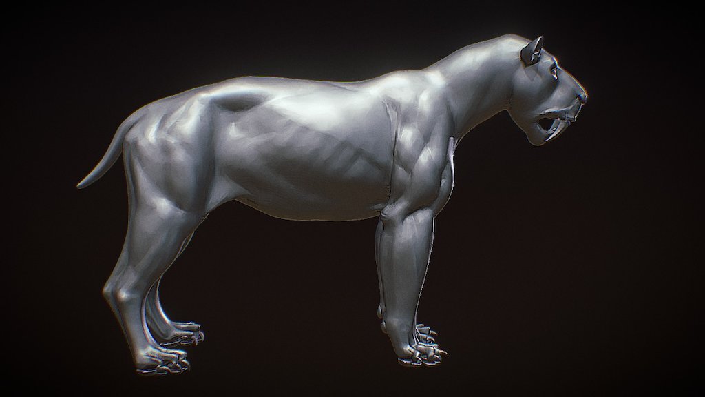 Sabertooth - 3D model by Mohammed Anuz (@MohammedAnuz) [68c72a6 ...
