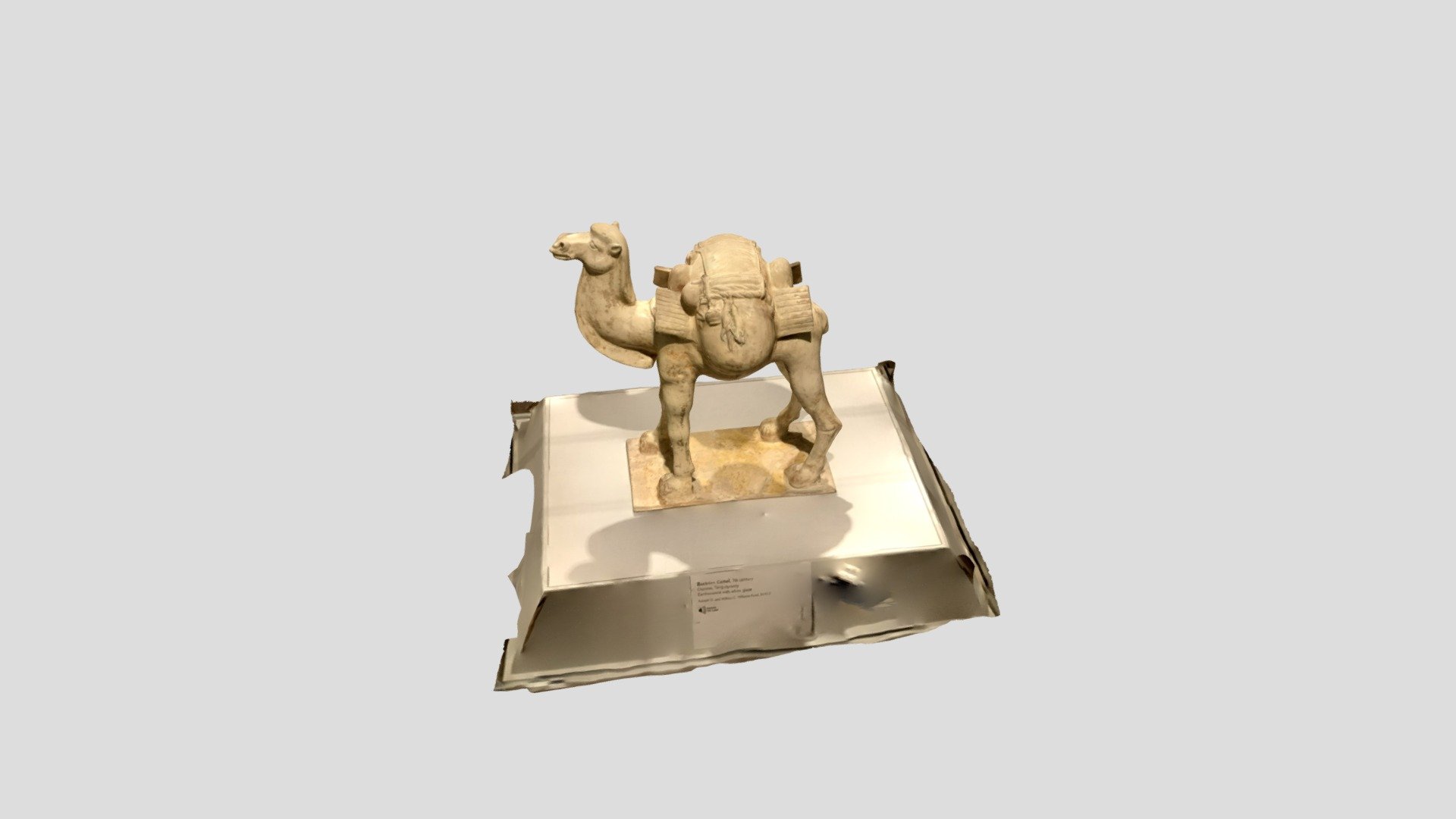 Bactrian Camel - 3D model by Virtual Curation Lab (@virtualcurationlab ...