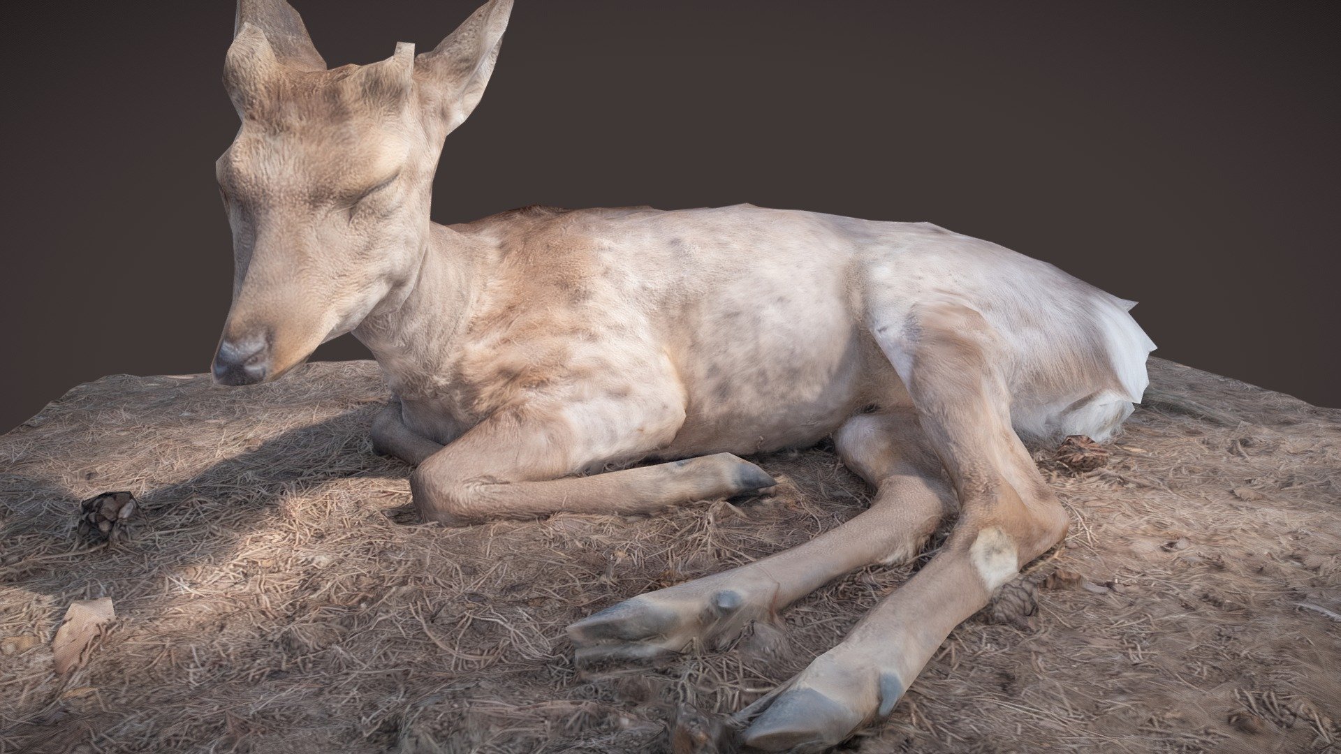 Dear - 3D model by Tokoyoshi06 [68d7129] - Sketchfab