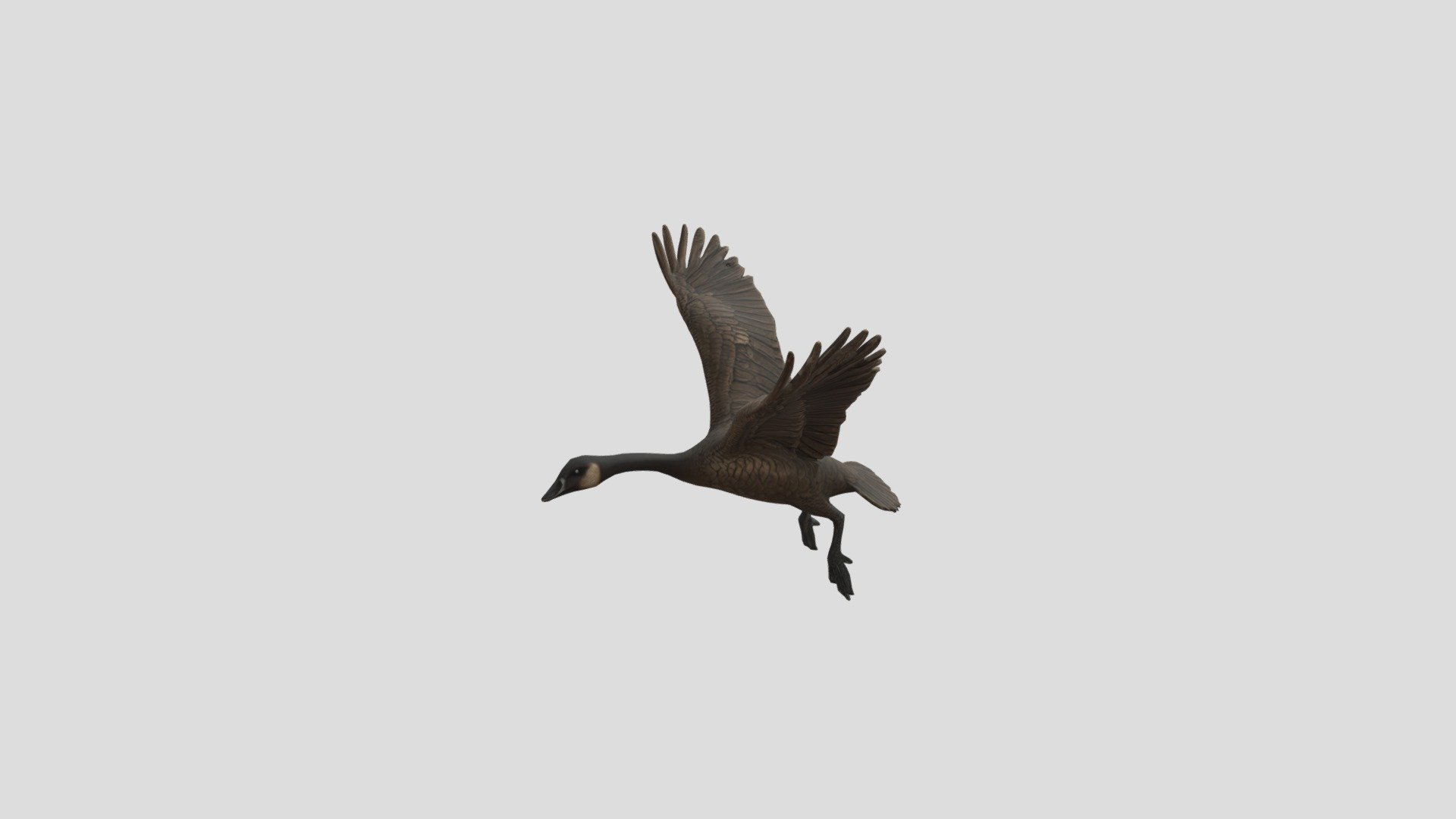 A bird - Download Free 3D model by supFOLLOWboy (@jIlishBoy) [68d8271 ...