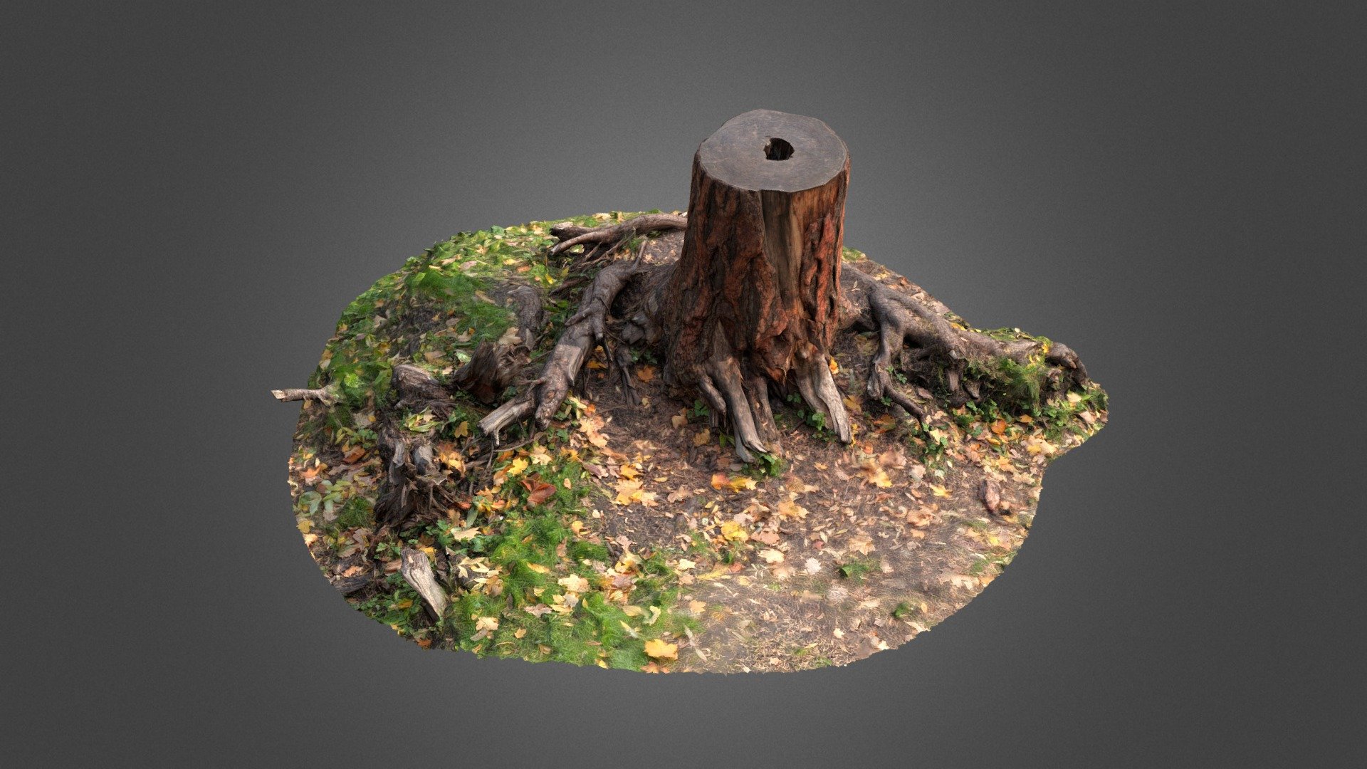 Stump — FREE - Download Free 3D model by Yaroslav Karas (@yakaras ...