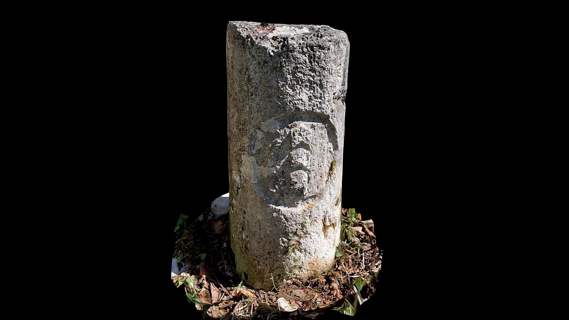 borNE-BE.36 - Download Free 3D model by clwacker [68ea8ba] - Sketchfab