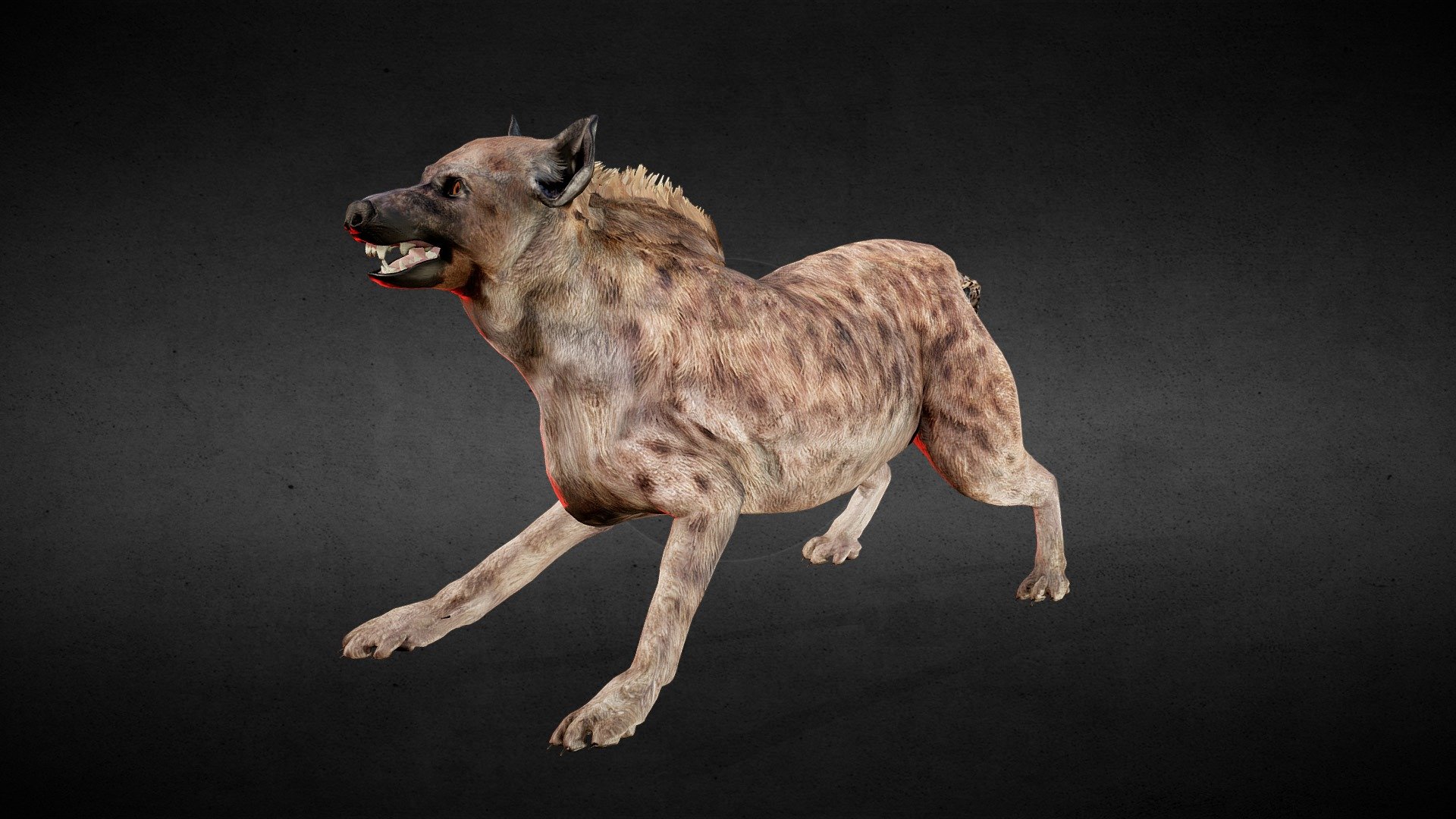 Hyena Spotted Animated PBR - Buy Royalty Free 3D model by Kasit Studio ...