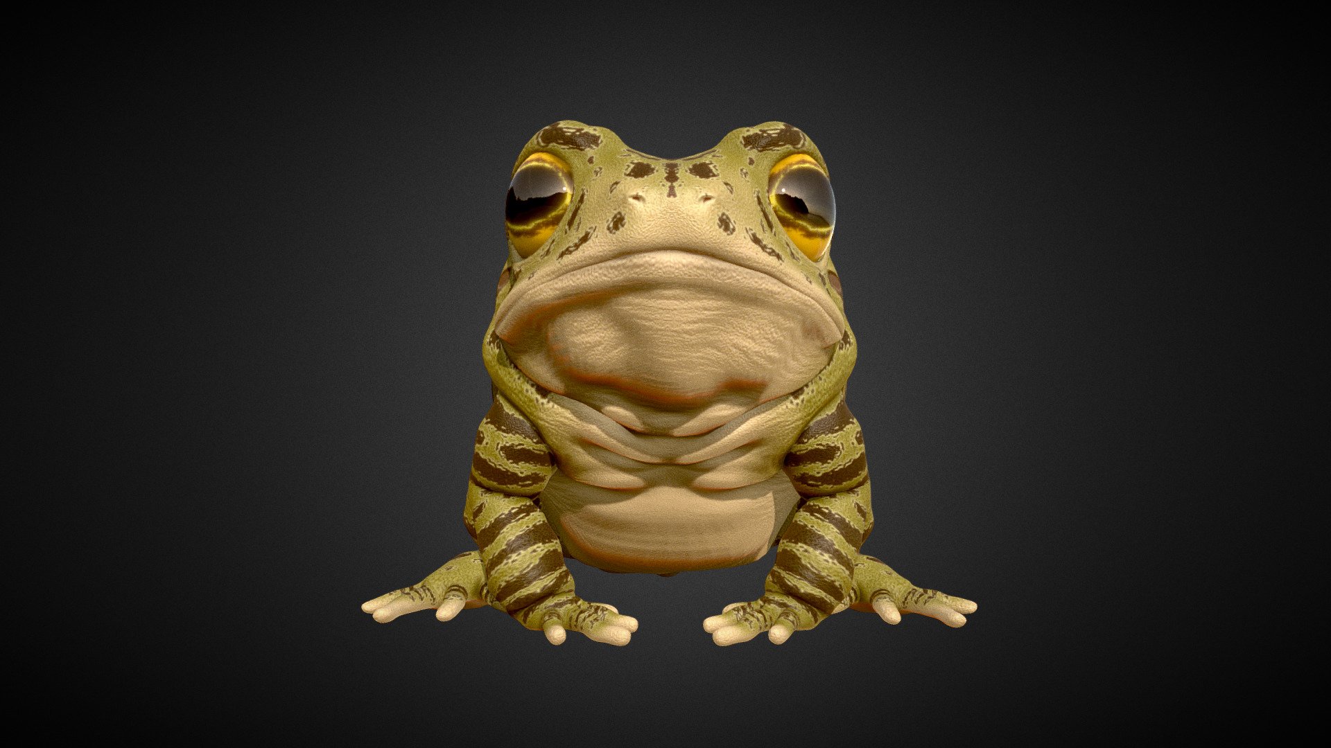 Toad - 3D model by IgorSan [68ef186] - Sketchfab