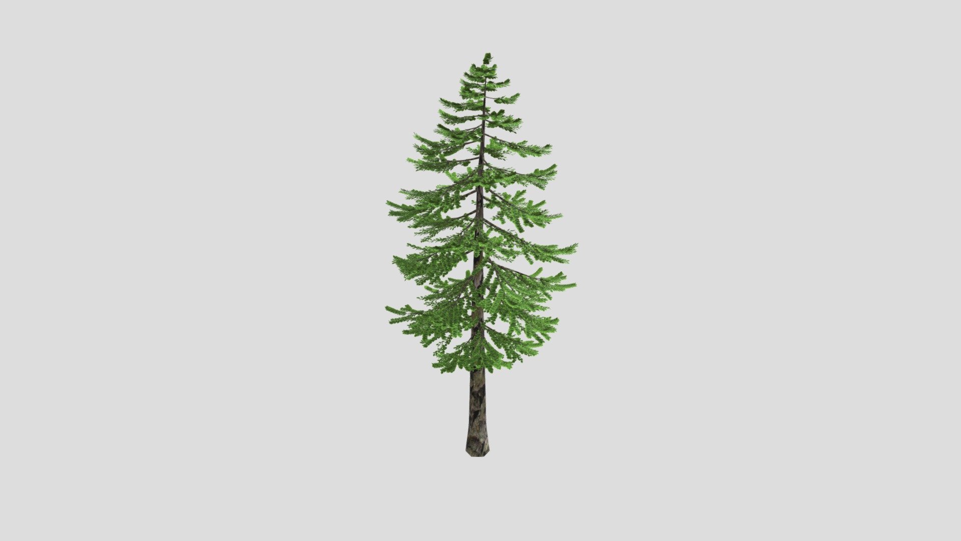tesuto tree - Download Free 3D model by toshiki3782 [68eff48] - Sketchfab