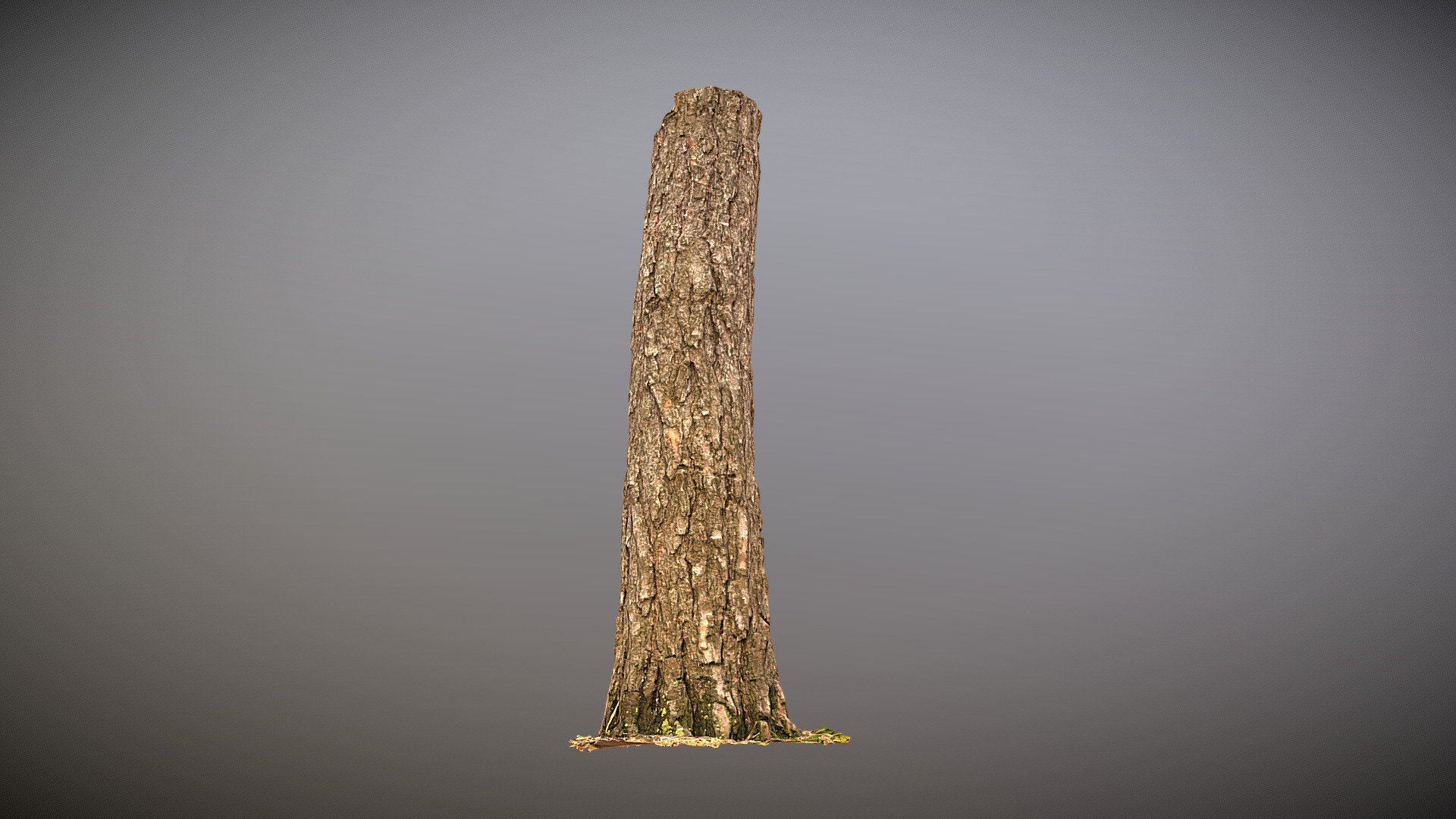 Pine Tree Trunk - Download Free 3D model by wickens (@Wickens-Studios ...