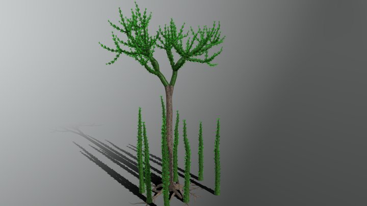Paleobiome - Sketchfab