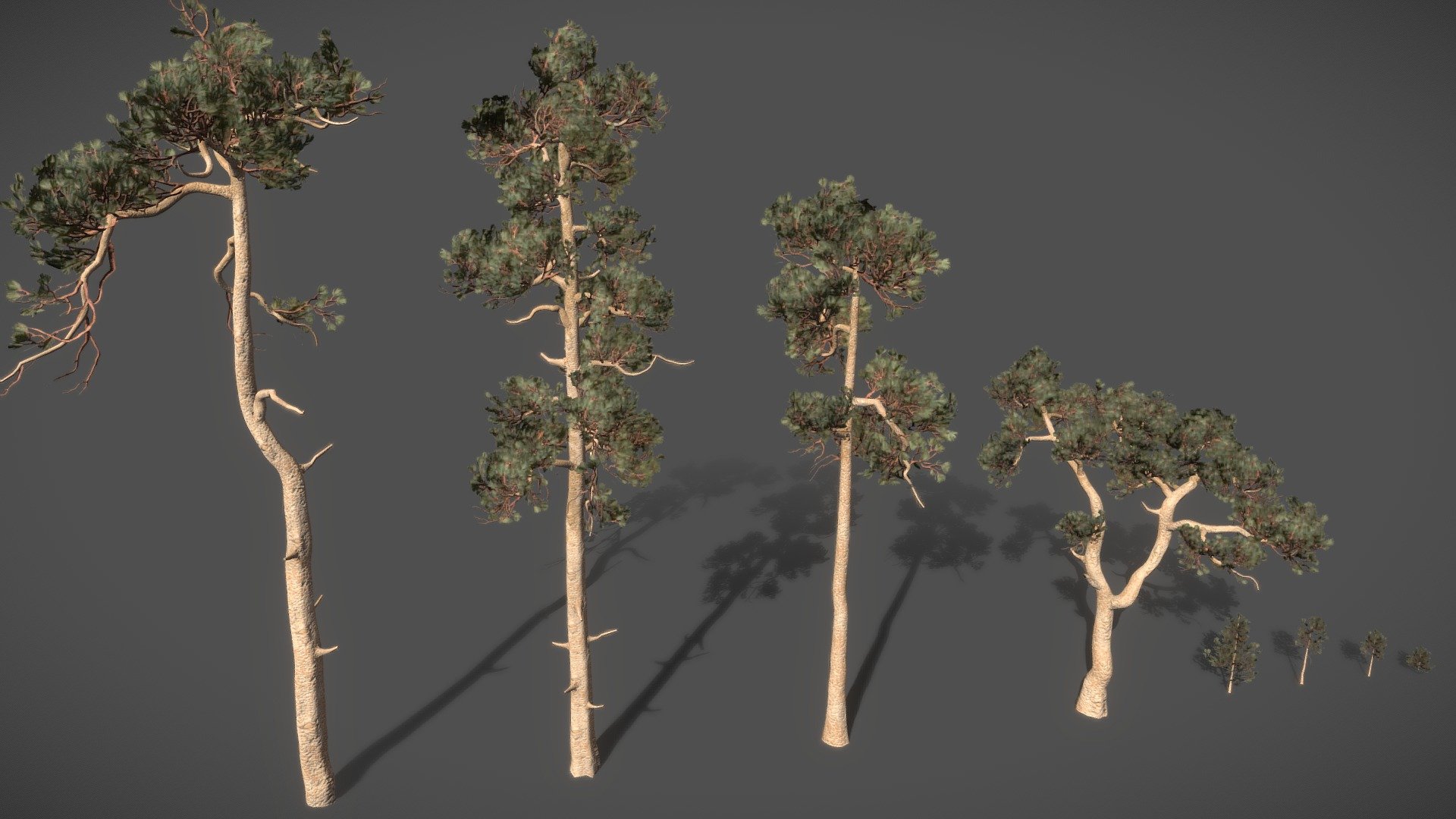 Pines Pack - 3D model by letsmakecoolart (@seriouscat) [69040f7 ...