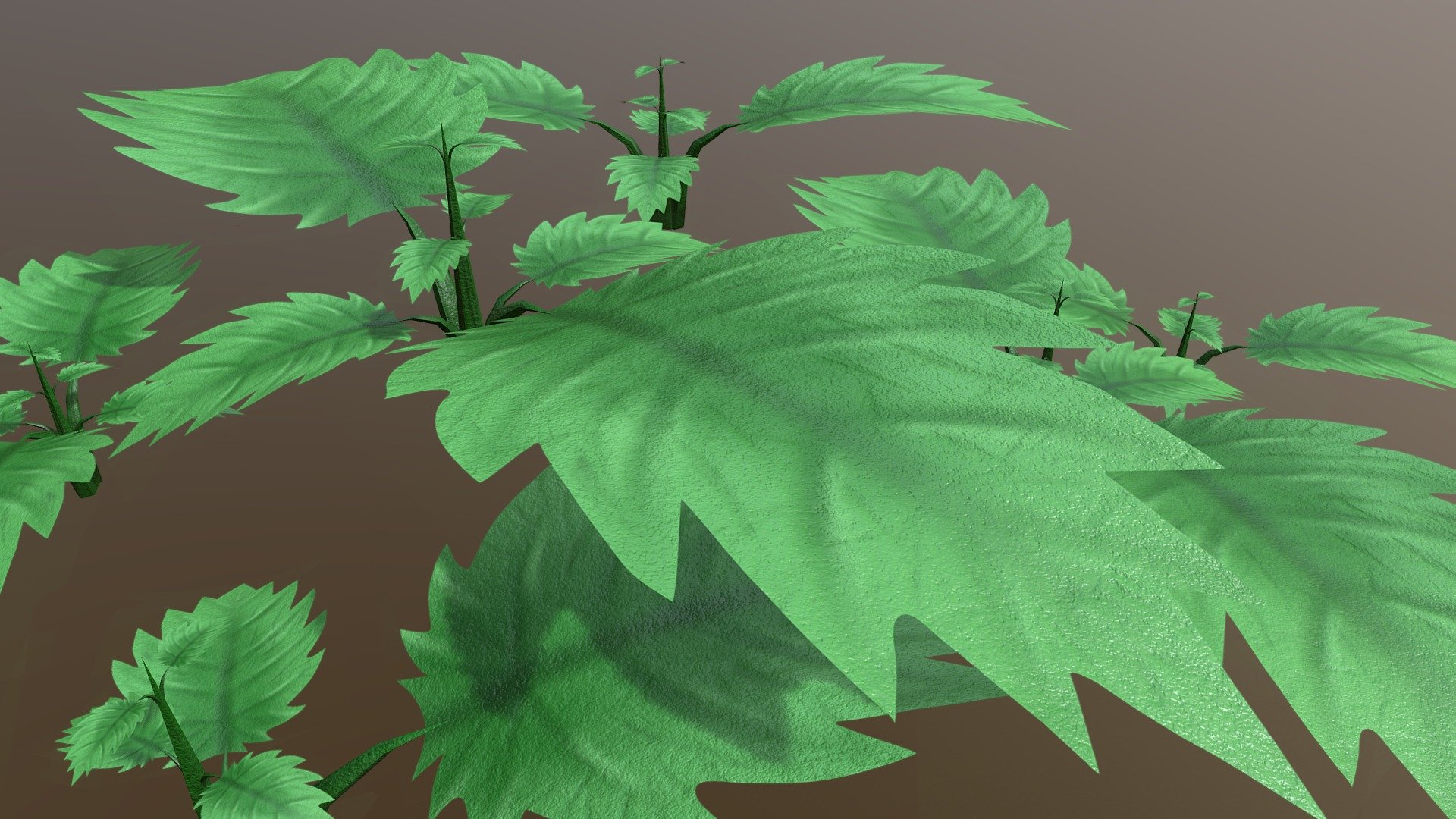 nettle leaves - Download Free 3D model by Lin-yan [690b8af] - Sketchfab
