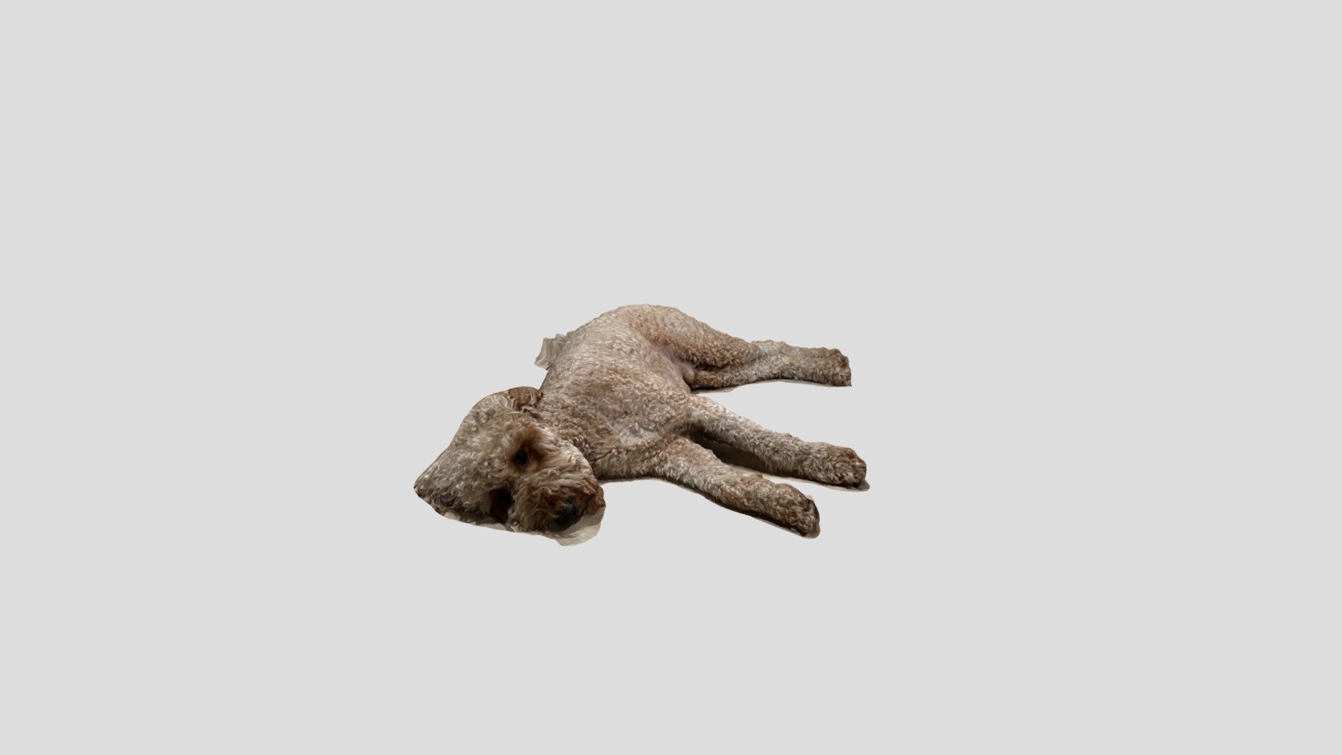 Usso - Download Free 3D model by gabe.flota [690c225] - Sketchfab