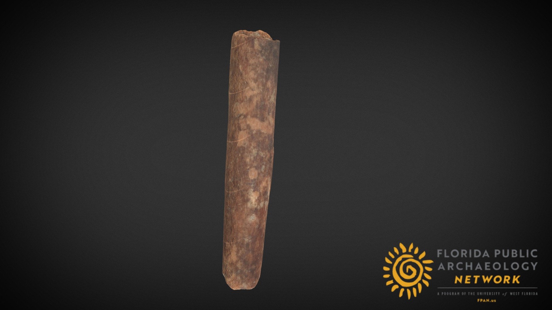 Bone Pin - Download Free 3D model by Florida Public Archaeology Network ...