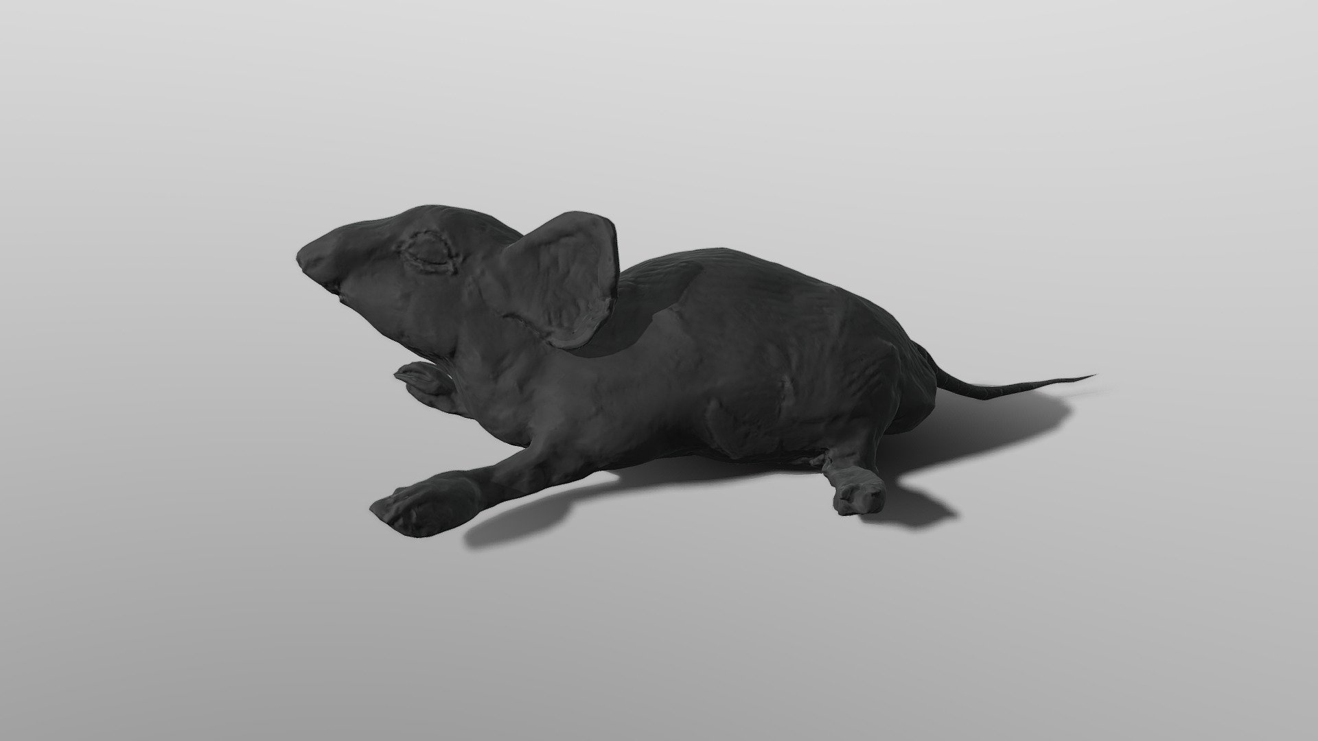 Rat Clay Sculpture - Download Free 3D model by cnseto [6915879] - Sketchfab