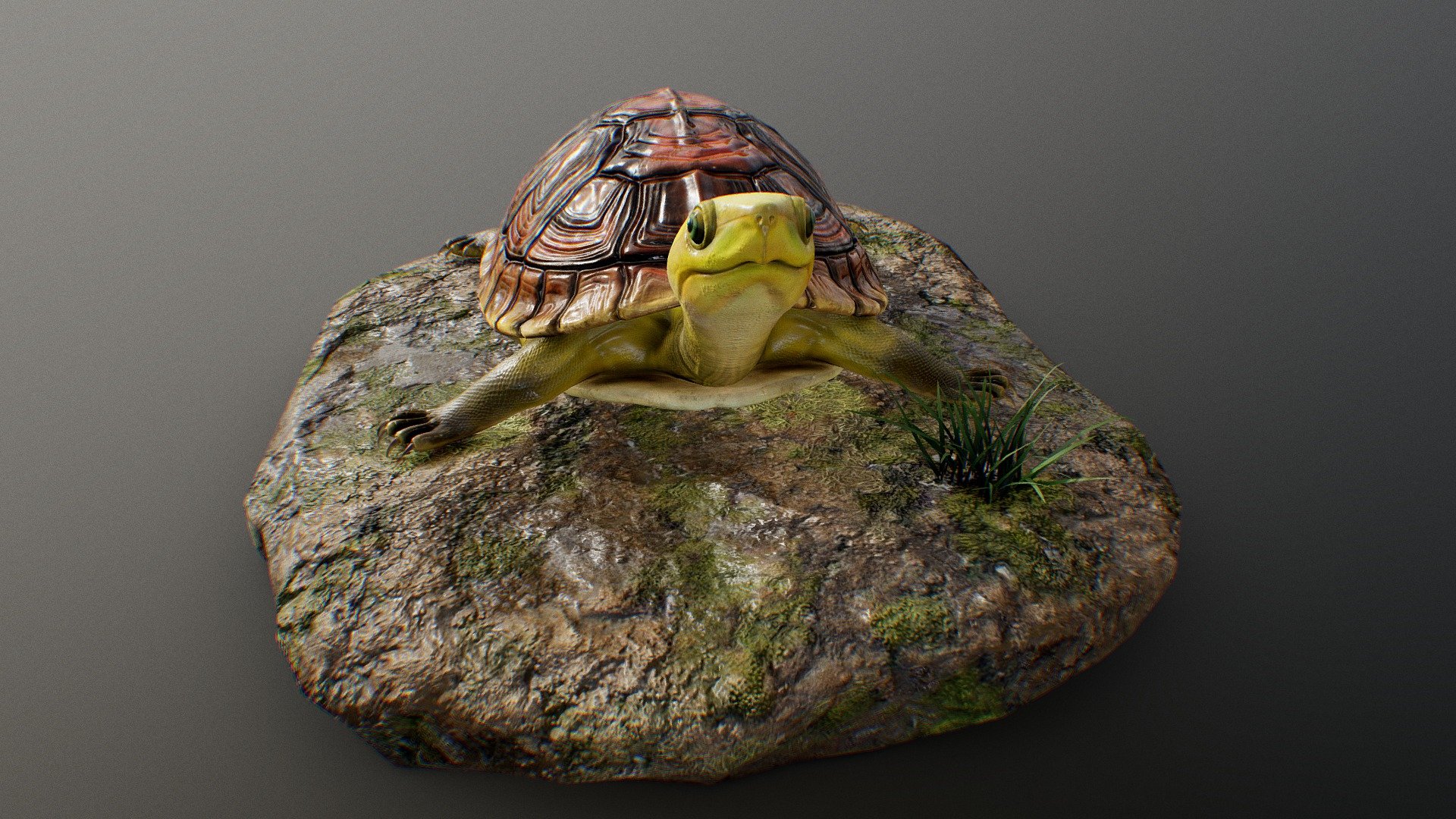 tortoise - Download Free 3D model by DailyArt (@D.art) [691a544 ...
