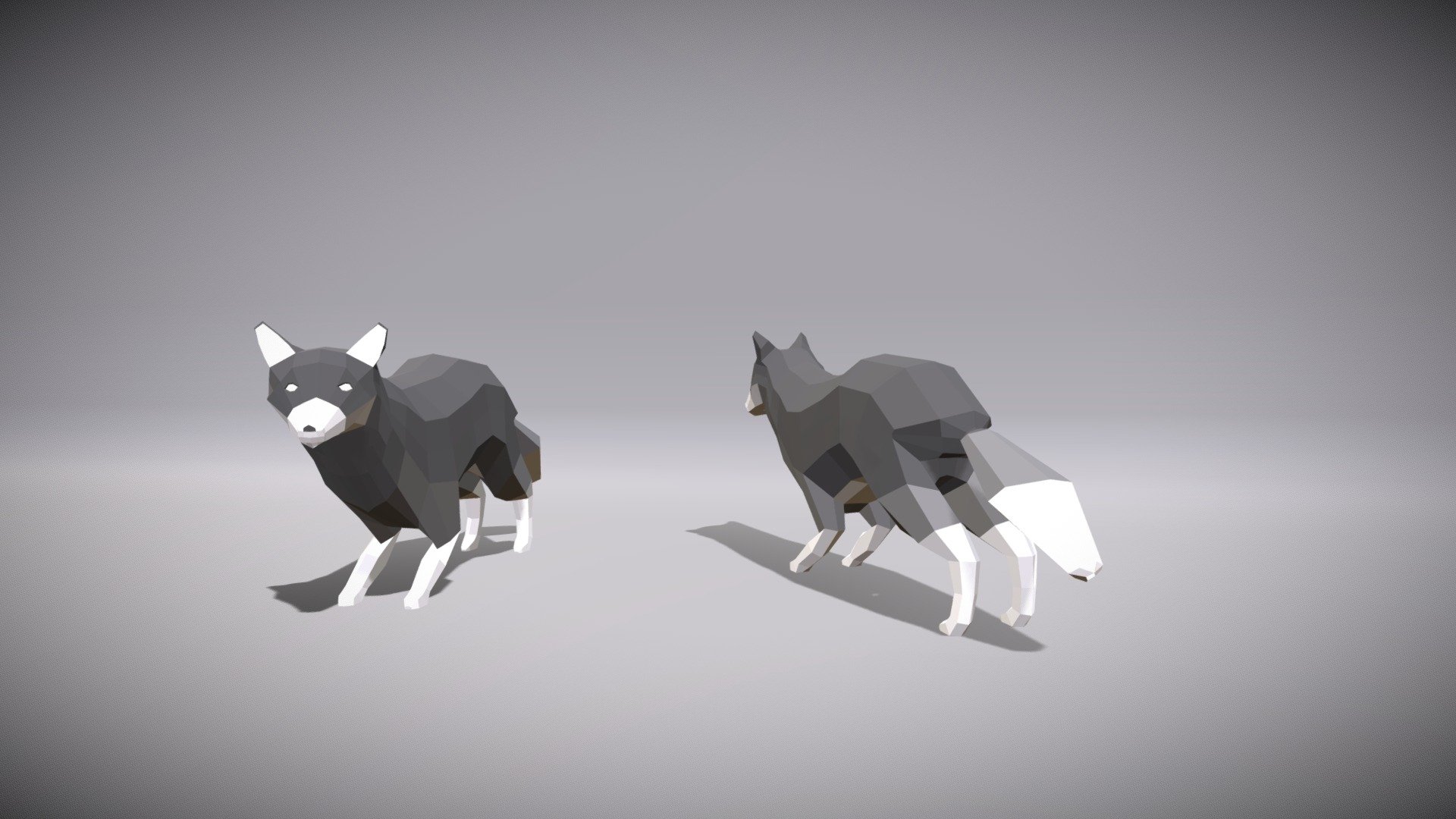 Low poly wolf - Download Free 3D model by Kyyy_24 (@luckyardrianto27) [691b0a8] - Sketchfab