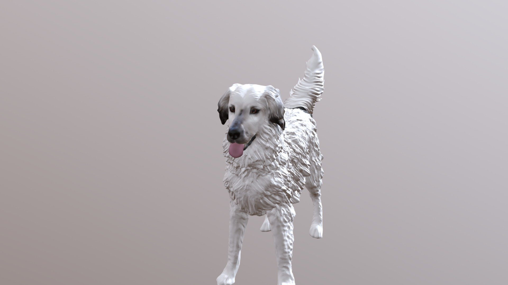 1901010- Ivy - 3D model by Arty Lobster - Pet Sculptures Made Simple ...