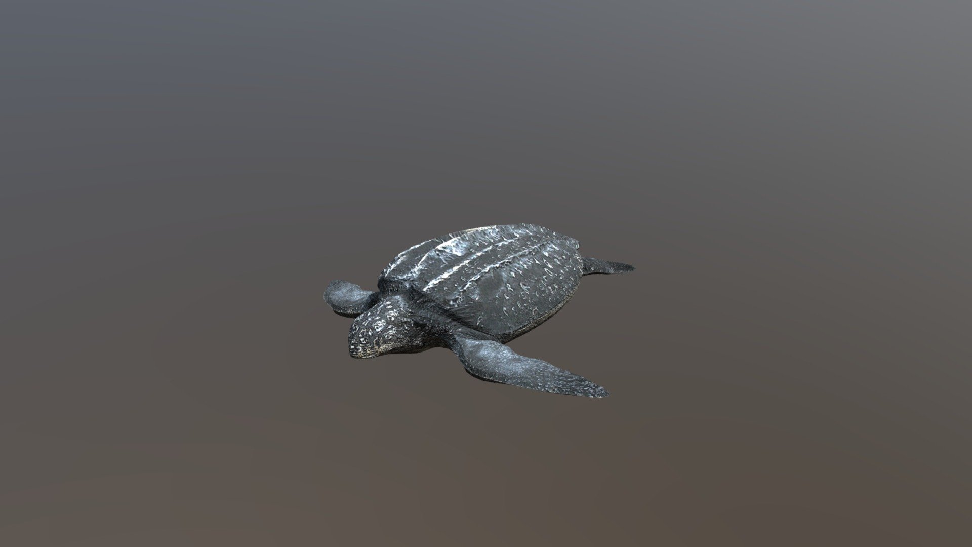 Leatherback Turtle - Buy Royalty Free 3D model by 3dlowpoly [691daee ...