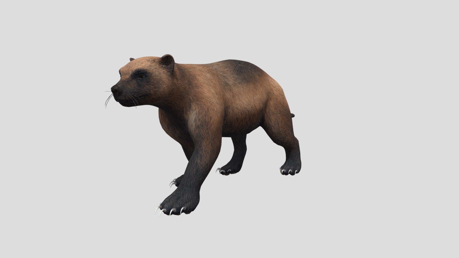 Wolverine - Download Free 3D model by all of life (@Xfdfgd) [69229b6 ...