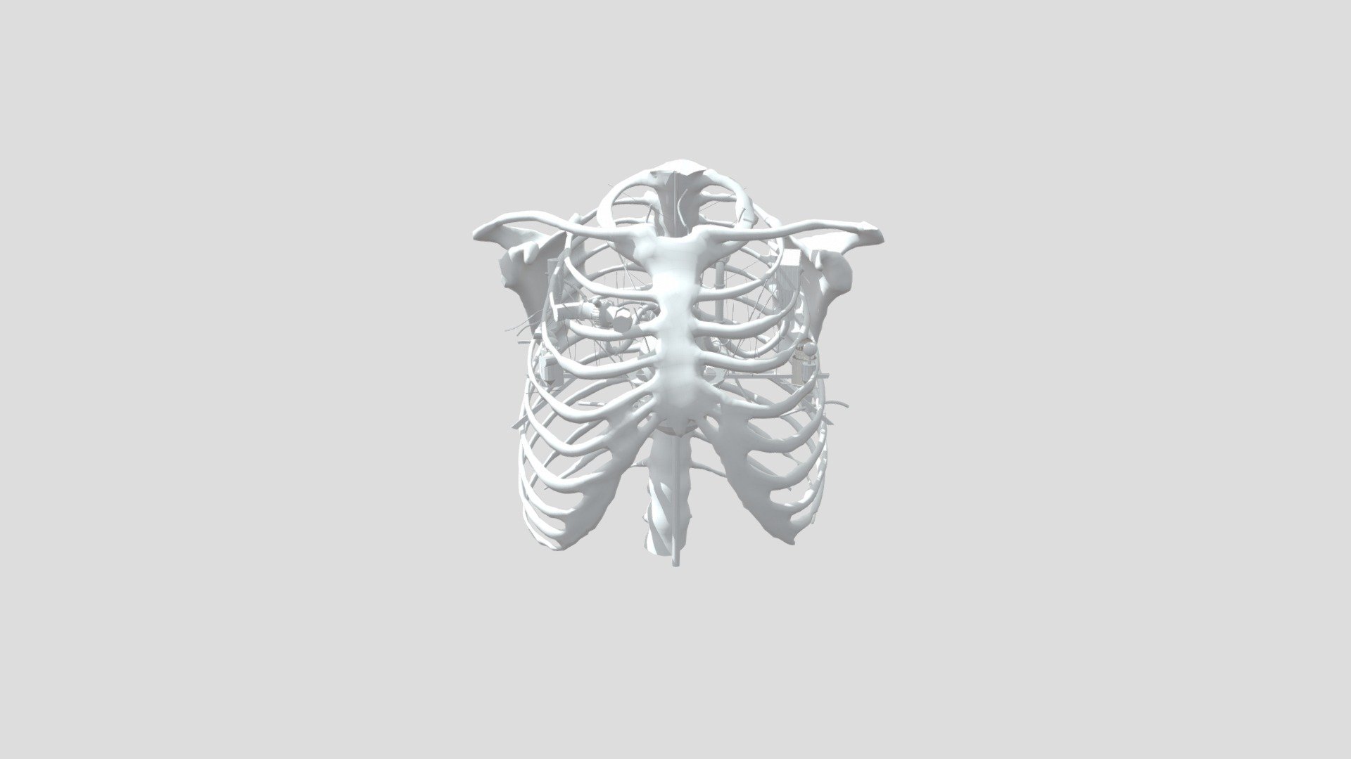 Cardinus_Factory_Interactive - 3D model by lmdrofwarc [692abf2] - Sketchfab