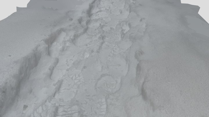 Footprint 3D models - Sketchfab
