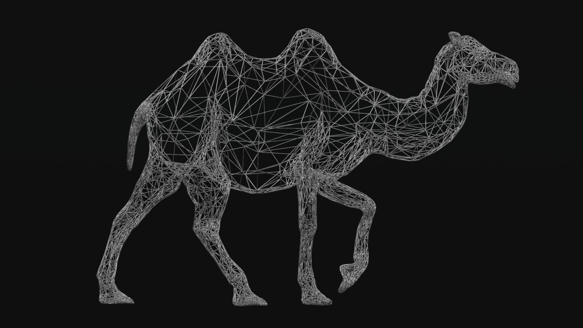 CAMEL WIREFRAME - Buy Royalty Free 3D model by DTA DESIGN STUDIO ...