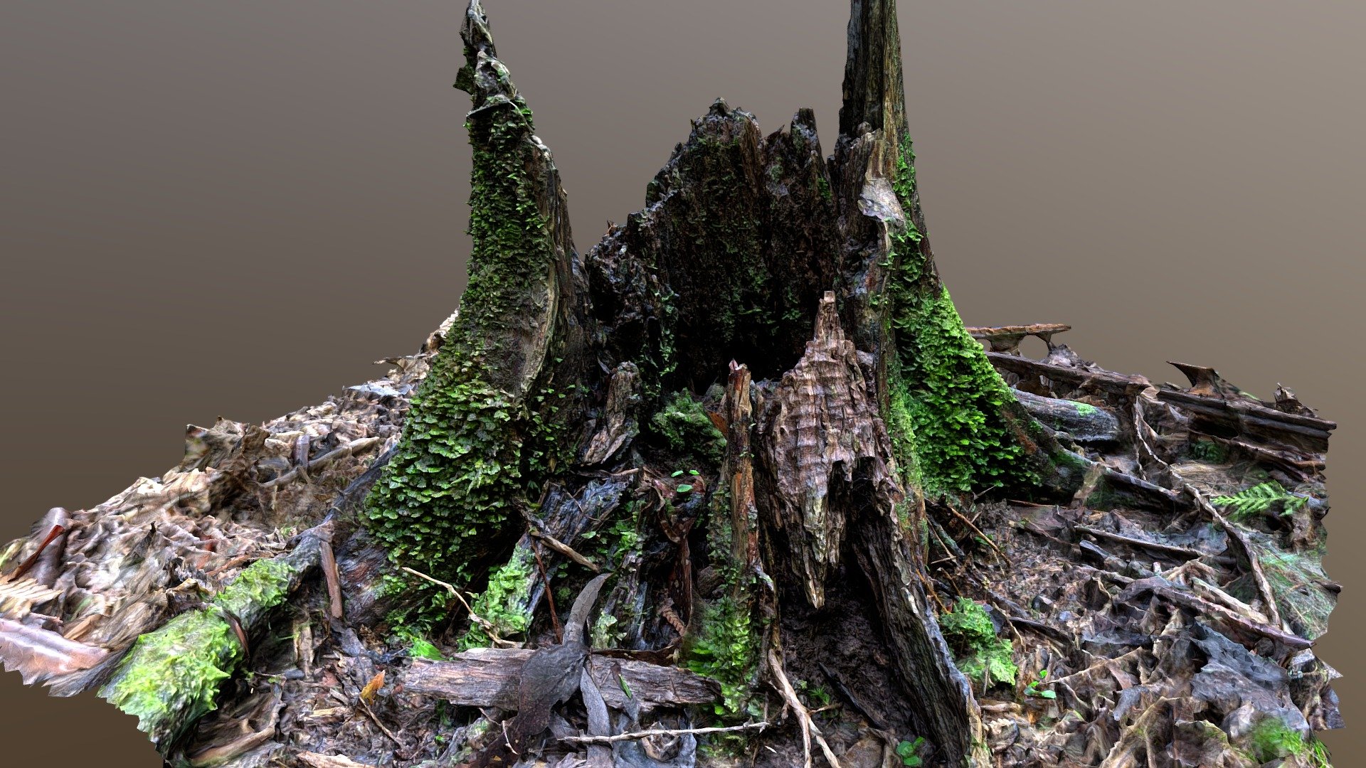 Mossy Log - Download Free 3D model by red_alert9164 [692d4b9] - Sketchfab