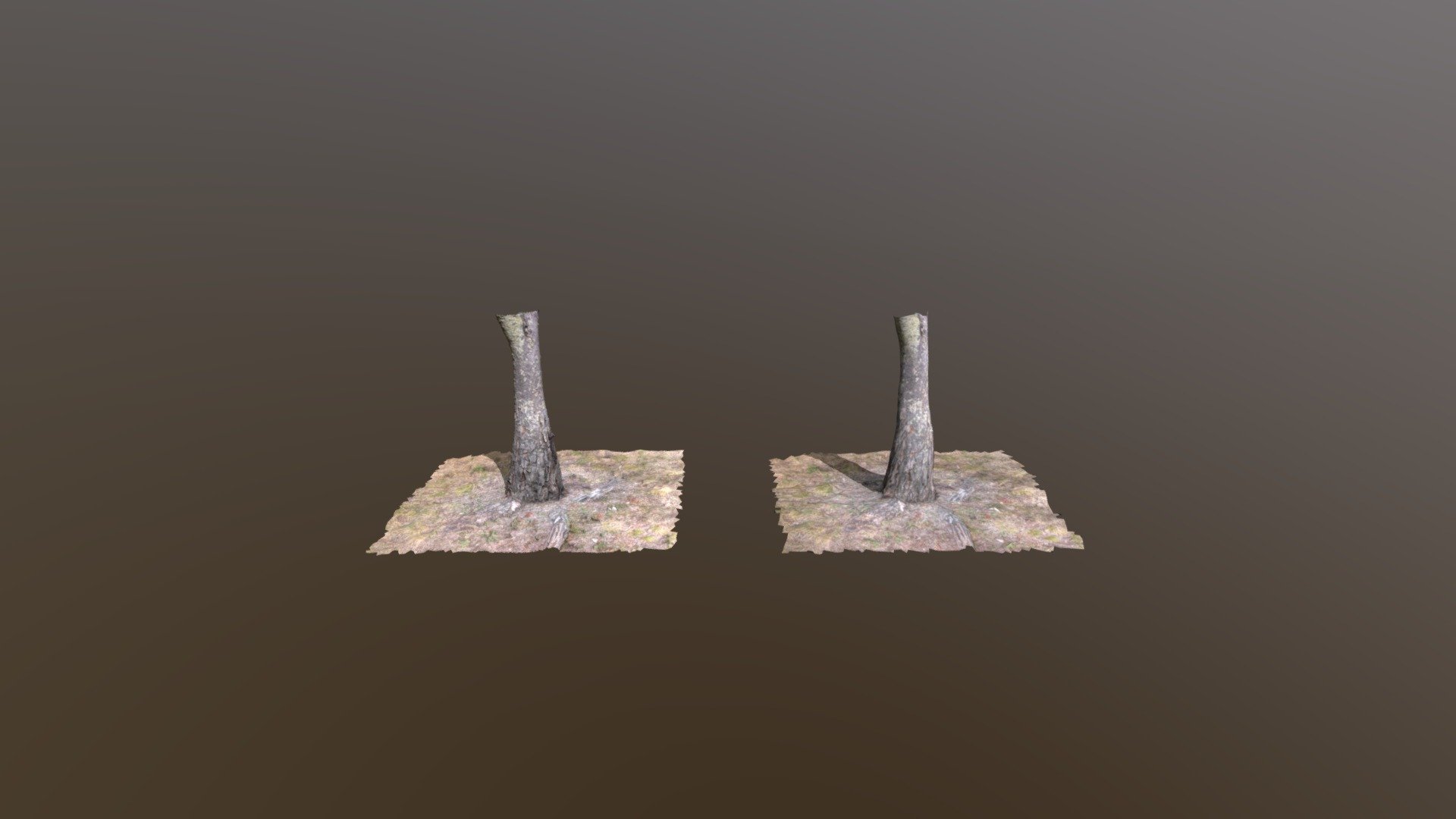 Bark 3D scan (High poly and low poly) - Download Free 3D model by BNS ...