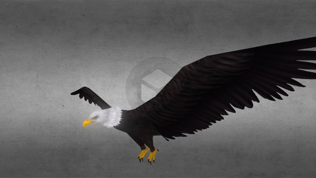 Eagle Fly - 3D model by WJH_Tn [69350b7] - Sketchfab