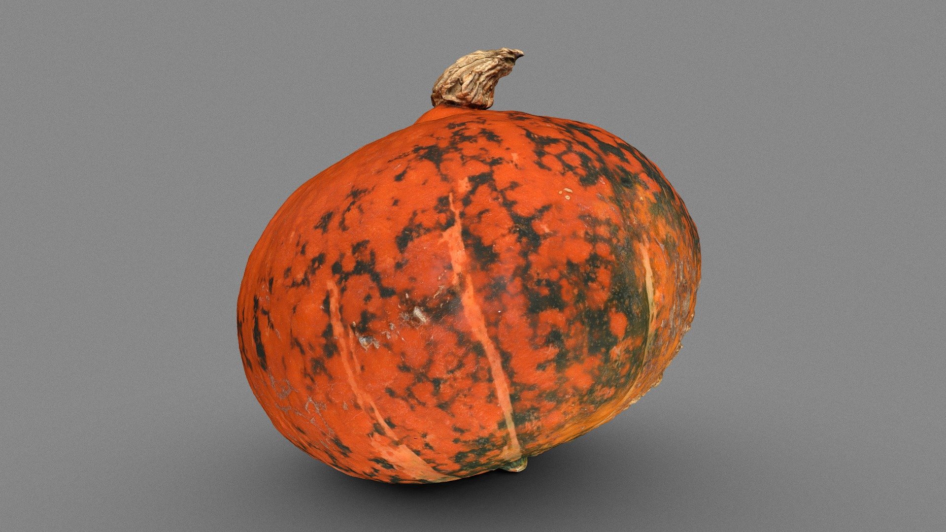 Pumpkin - Download Free 3D model by noe-3d.at (@www.noe-3d.at) [693d13d ...