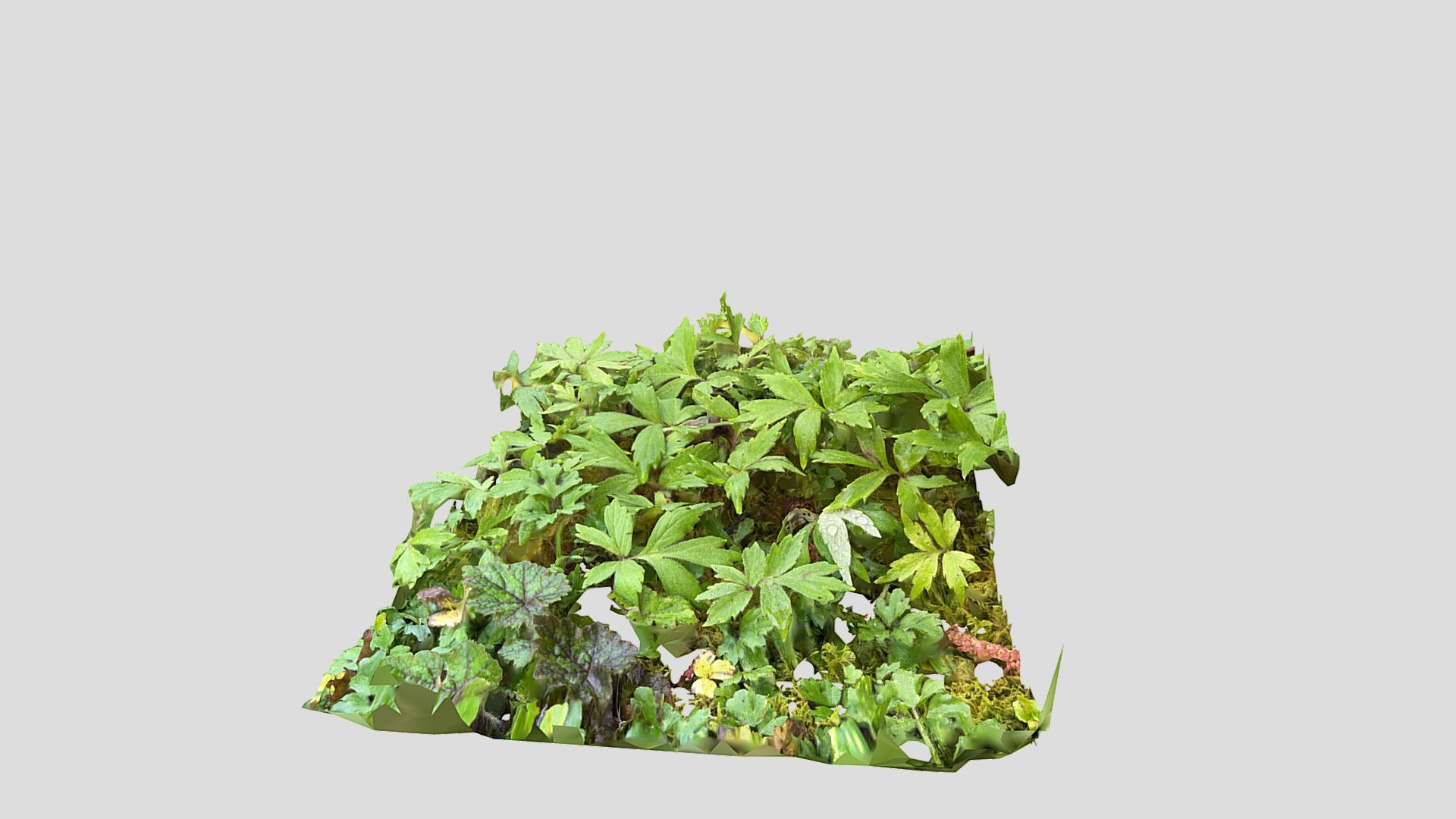 Turf - 3D model by M Parkinson (@chimaera_studio) [6947942] - Sketchfab