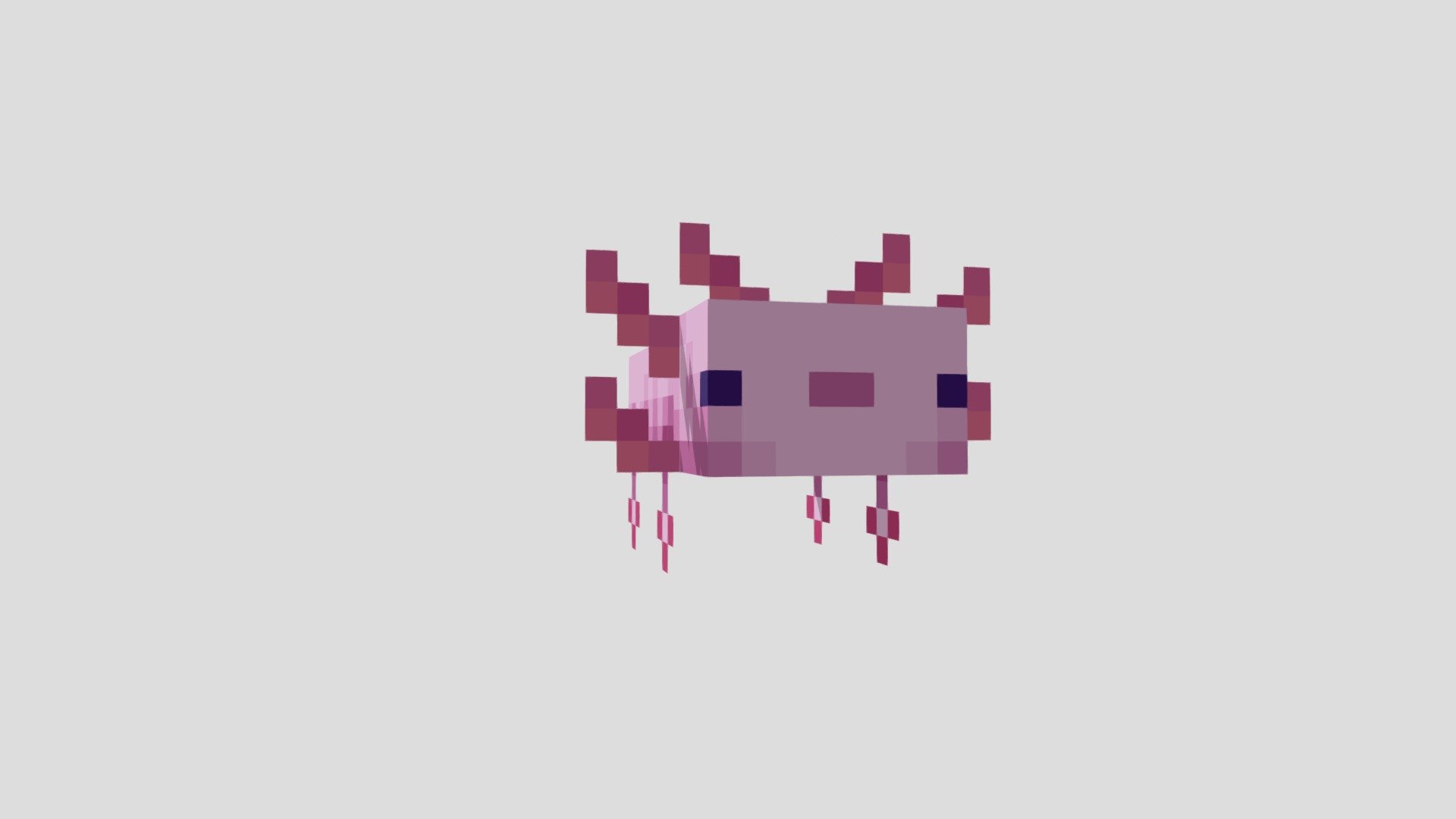 Axolotl - Download Free 3D model by MeXuHang [6955cf8] - Sketchfab