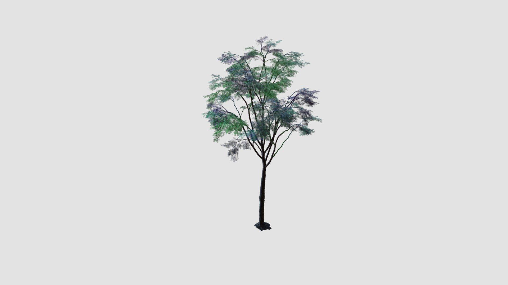 Tree - Buy Royalty Free 3D model by Evermotion [696b198] - Sketchfab Store