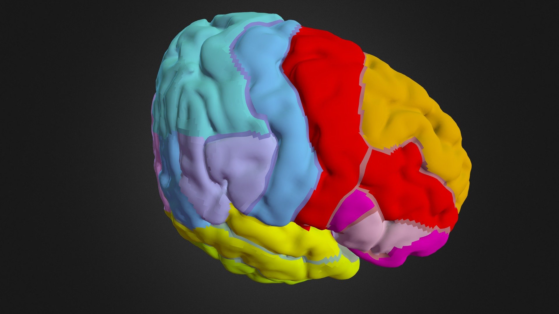 Cerebral hemisphere, Brain - 3D model by sdssoft [69757f2] - Sketchfab