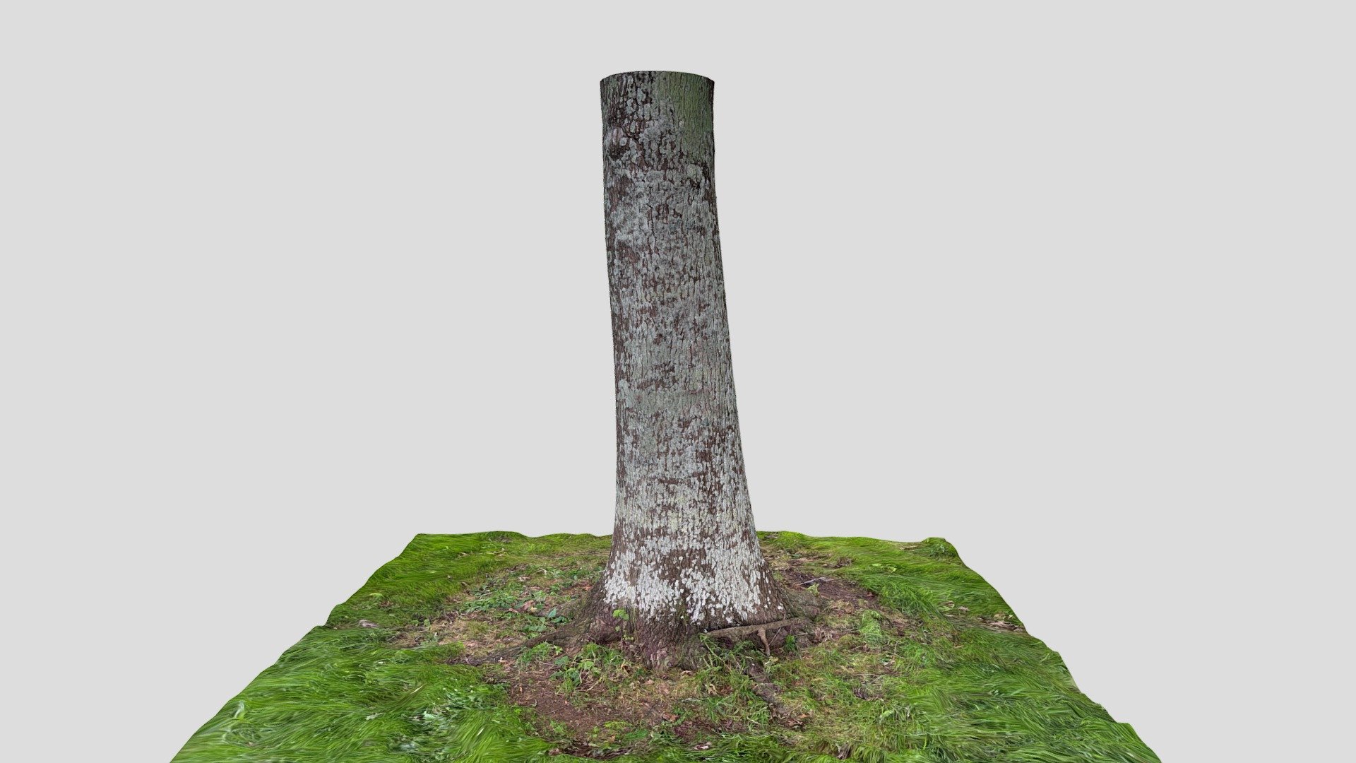 Park Tree Trunk - Download Free 3D model by Andrei Alexandrescu ...