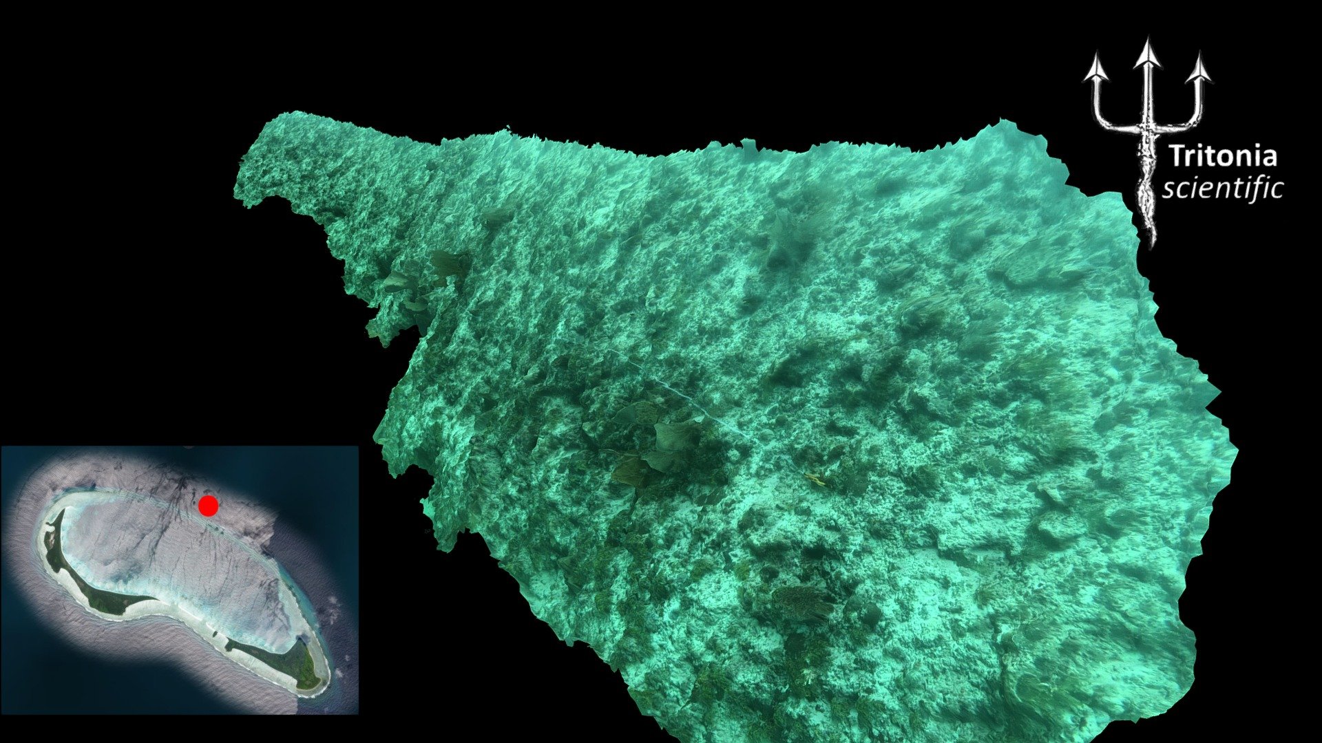 Egmont Atoll- Mid, 17.5m - 3D model by Tritonia (@TritoniaScientific ...