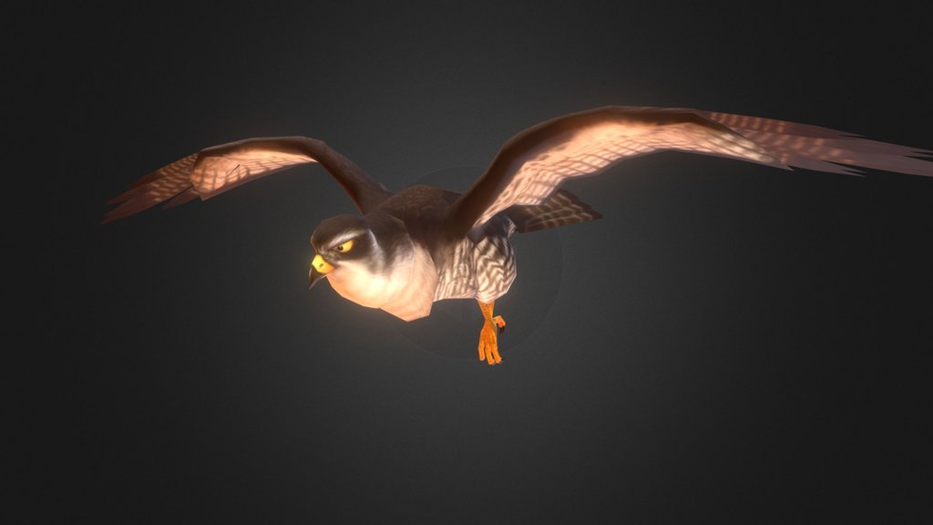 Falcon - A 3D model collection by hong0_0 - Sketchfab