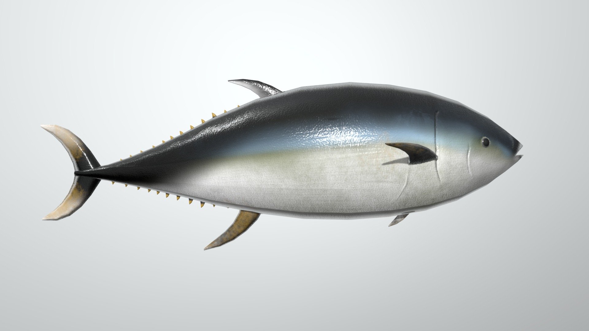 fish - Buy Royalty Free 3D model by digikstudio [69996fb] - Sketchfab Store