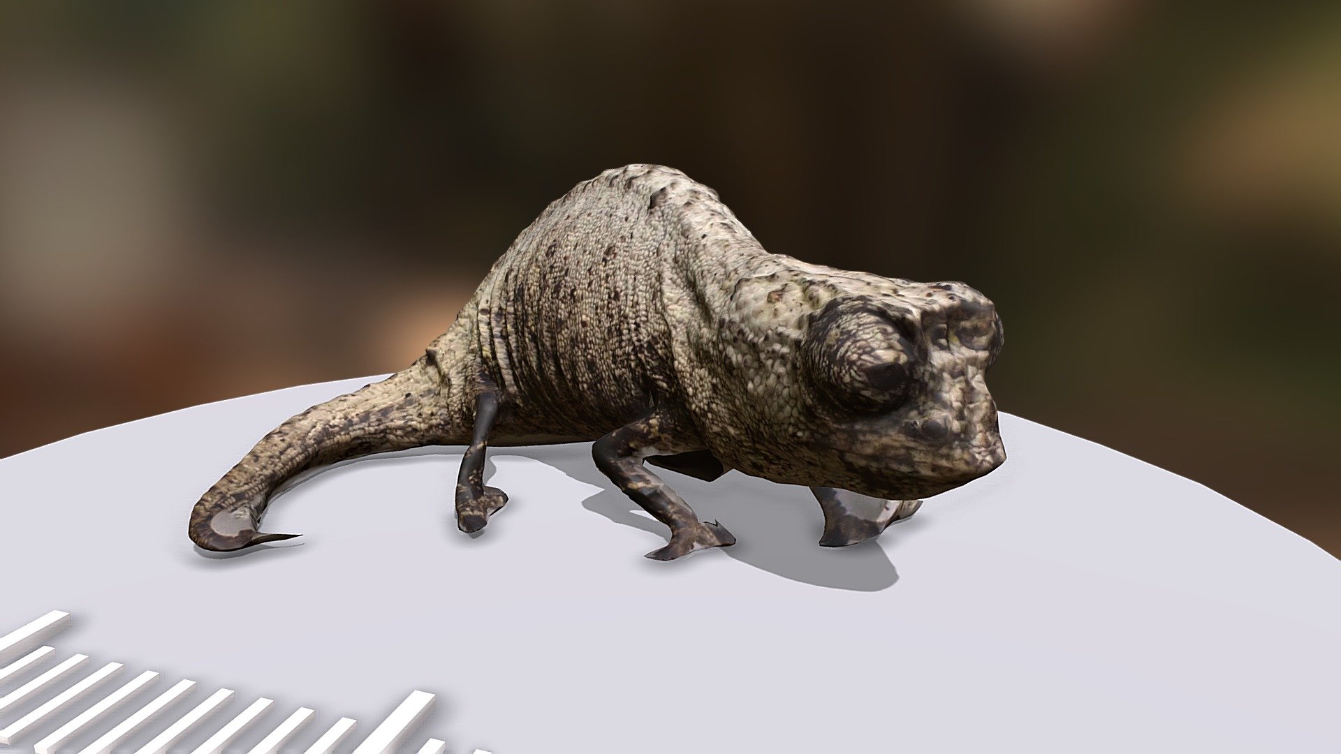 Undescribed Pygmy Chameleon (Brookesia sp) - Download Free 3D model by ...