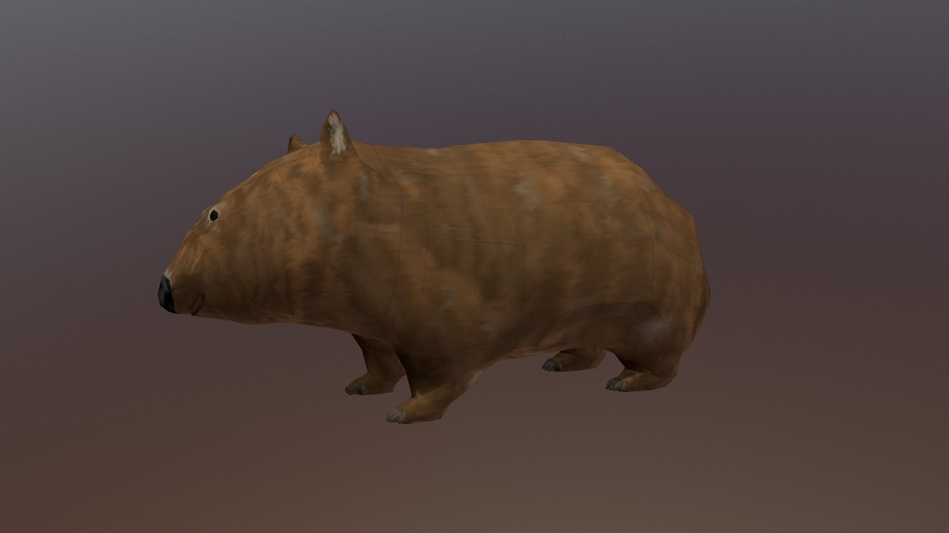 Wombat - 3D model by branco [6999b4b] - Sketchfab