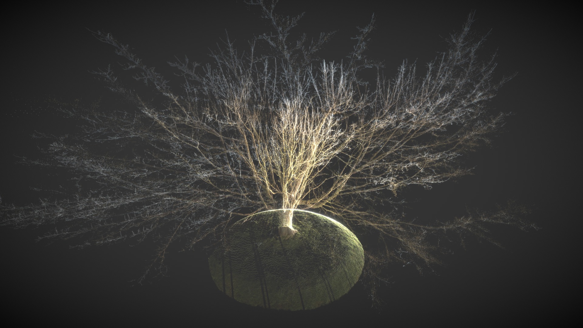 Tree Pointcloud - 3D model by Coenradie [699a602] - Sketchfab