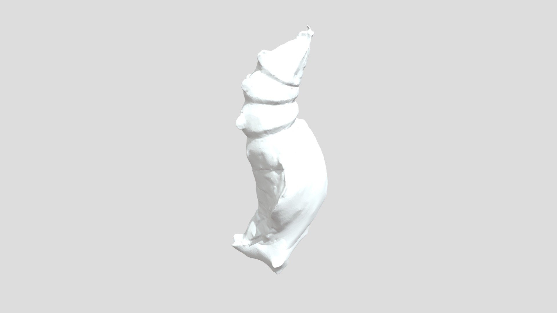 Swallowtail Chrysalis For Print V1 - 3D model by swirlturtle [69a8084 ...