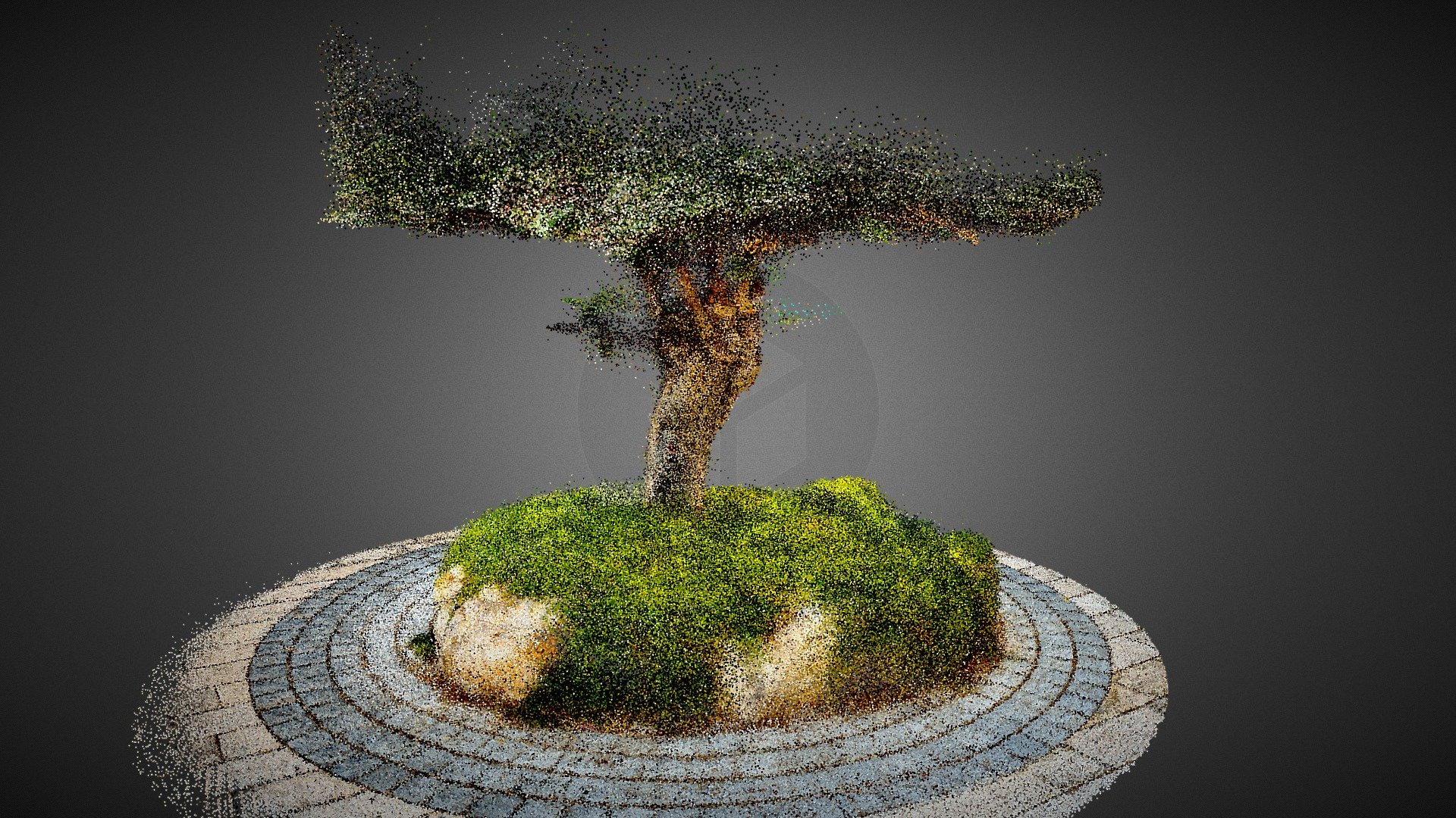 Tree - Lidar scan BH2 - Download Free 3D model by Moshe Caine ...