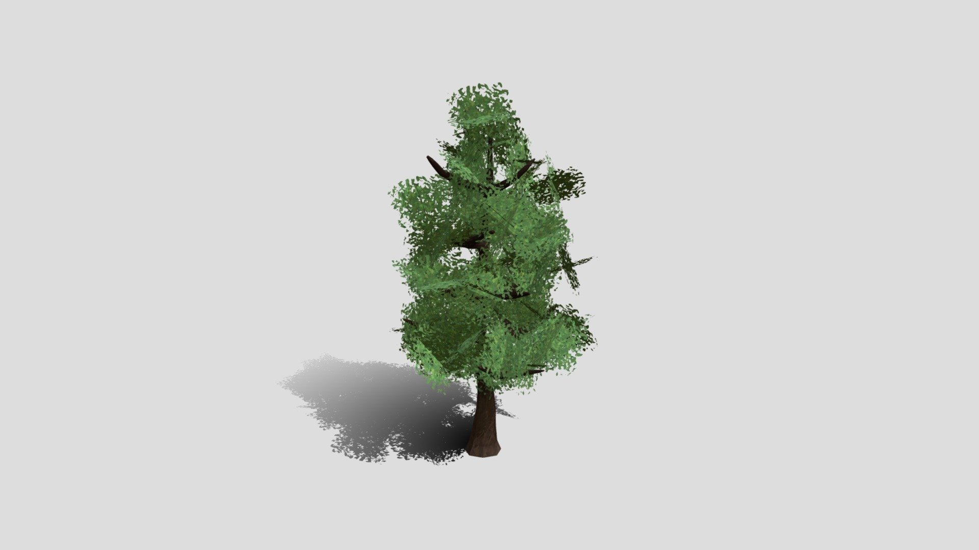 Tree - 3D model by Heklalinya [69ad9ef] - Sketchfab