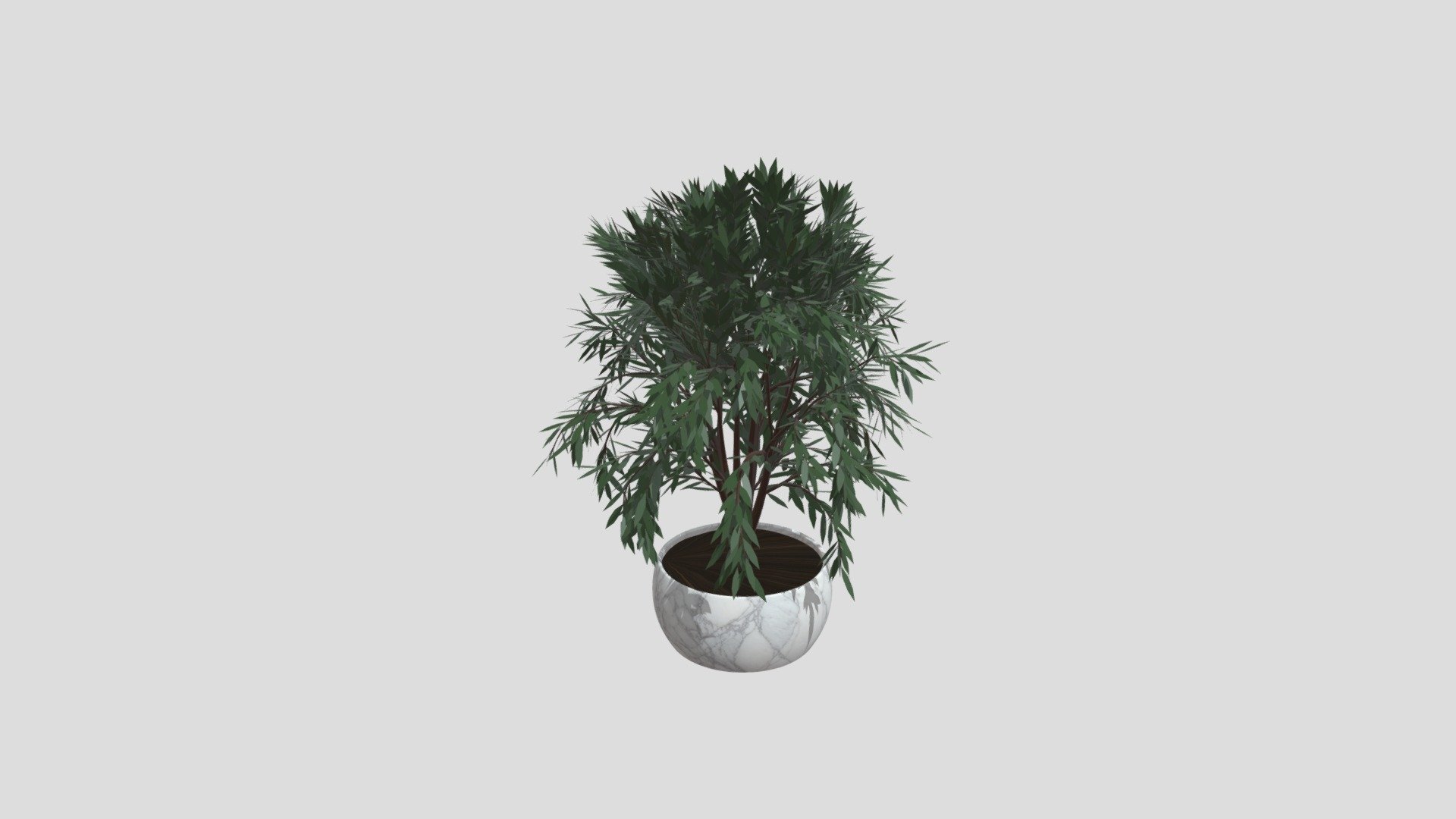 plant - Download Free 3D model by mashulikperdulik [69b2fa4] - Sketchfab