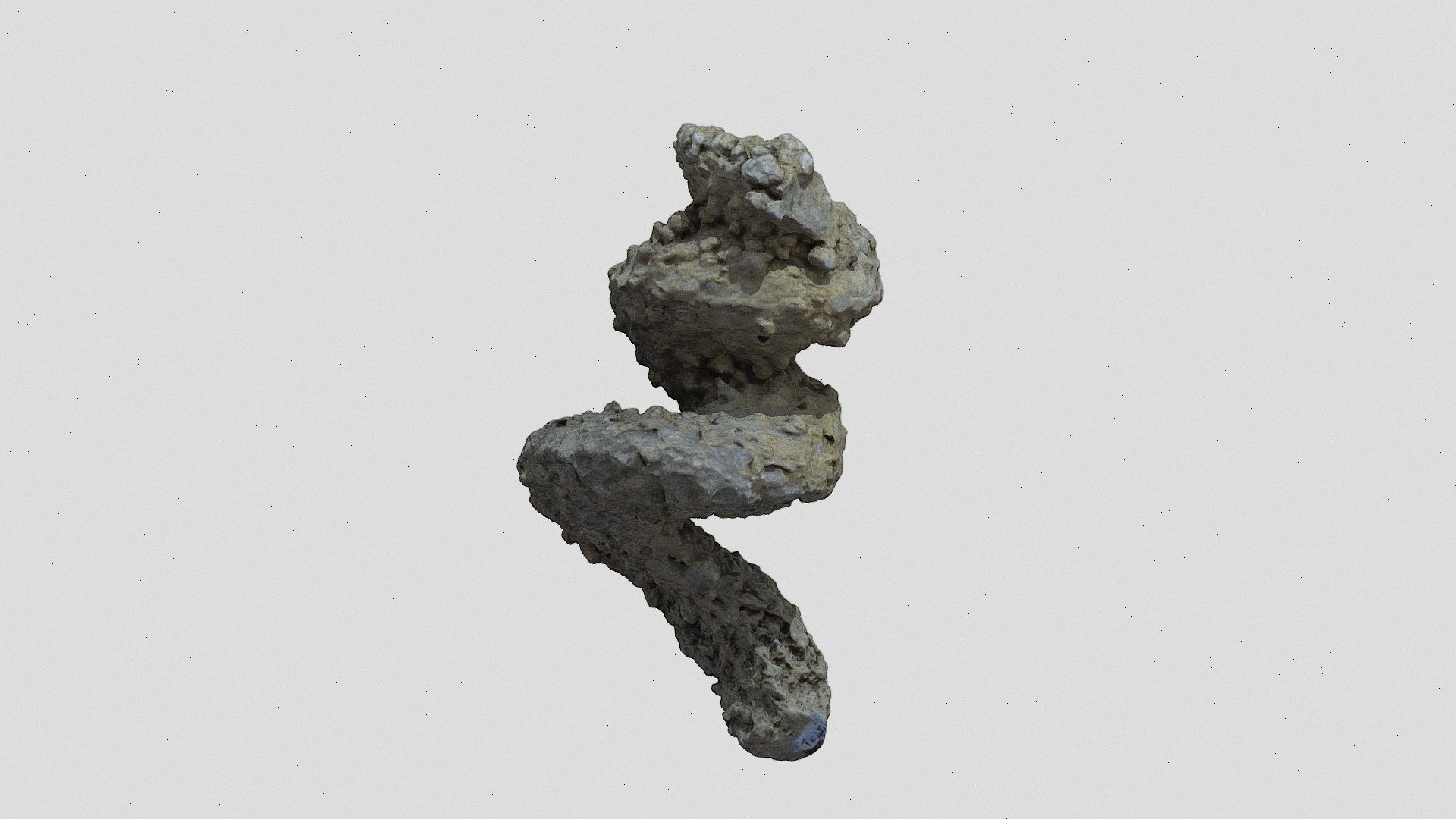 Gyrolithes - Download Free 3D model by Atlante virtuale 3D Geoscienze ...