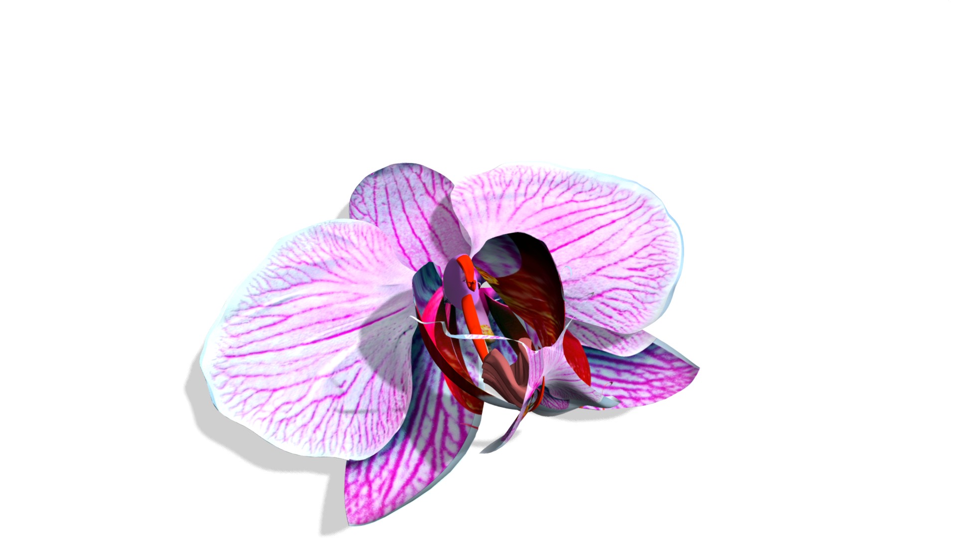 Flower - 3D model by Interactive 3D Data (@proteinsimulation) [69b886b ...