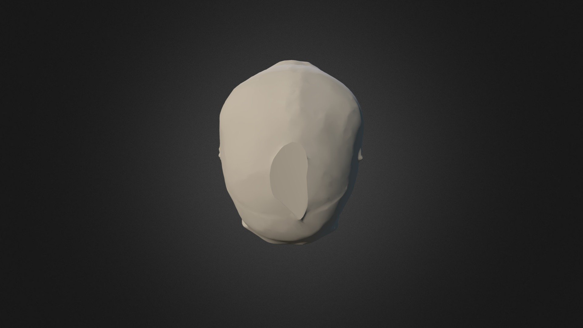 Homo Sapiens - modern human - 3D model by geronimo0232 (@Human_Lineage ...