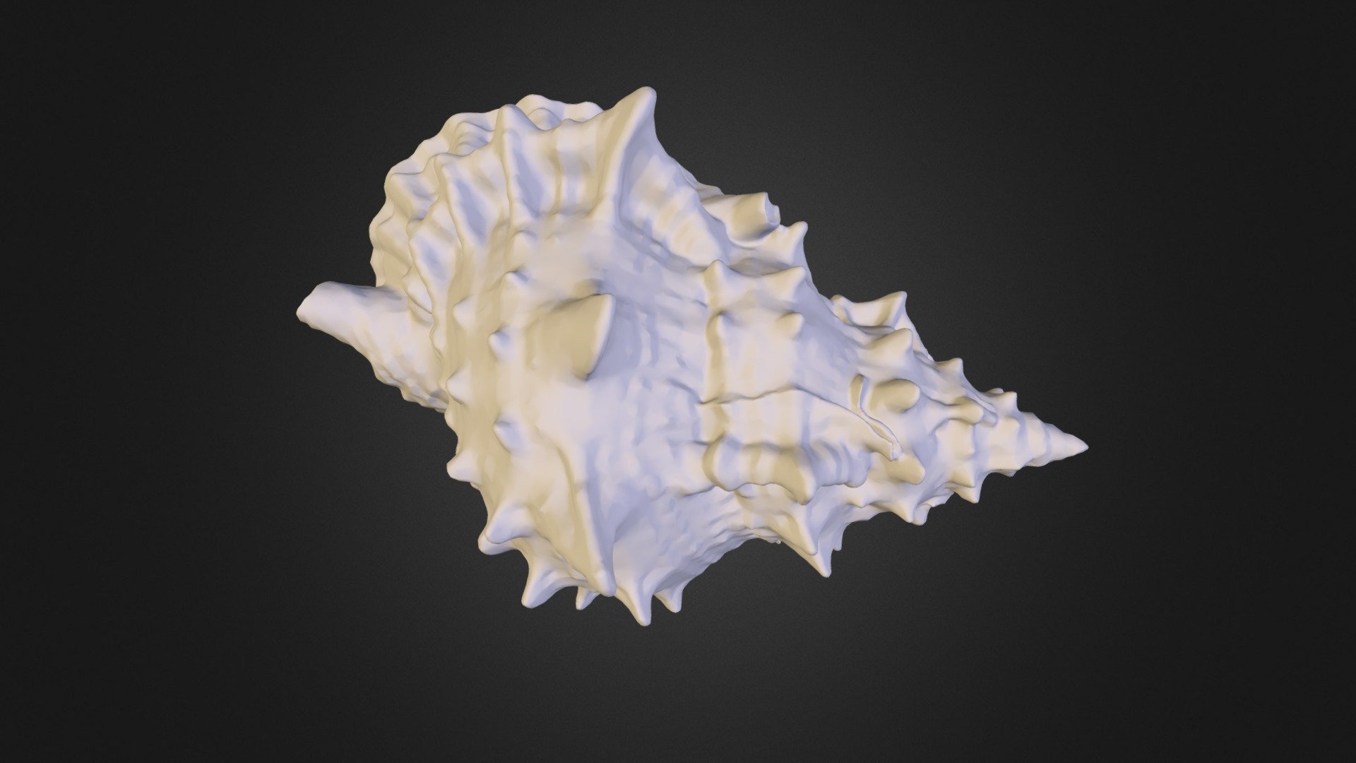 Shell v2 - 3D model by GregRotter [69bfa5d] - Sketchfab