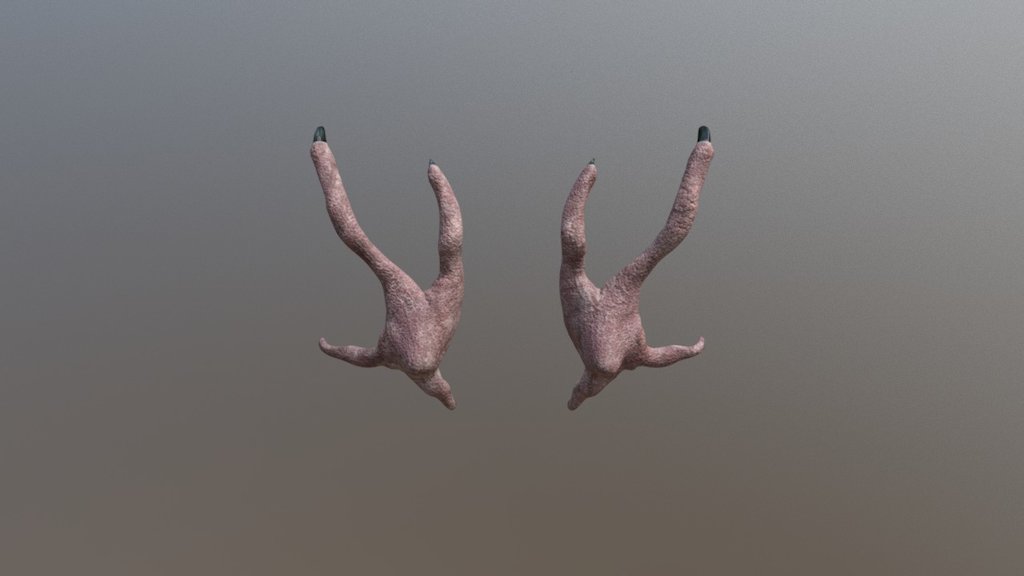Claws - 3D model by Pauline Charpentier (@PaulineCharpentier) [69bfe7b ...